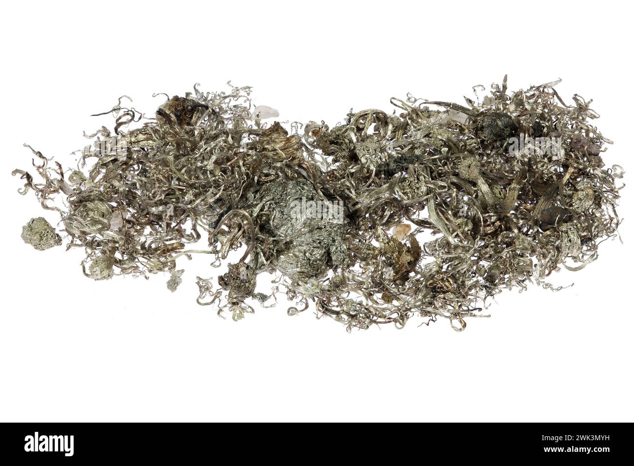 native silver from Schlema, Ore Mountains, Germany isolated on white ...