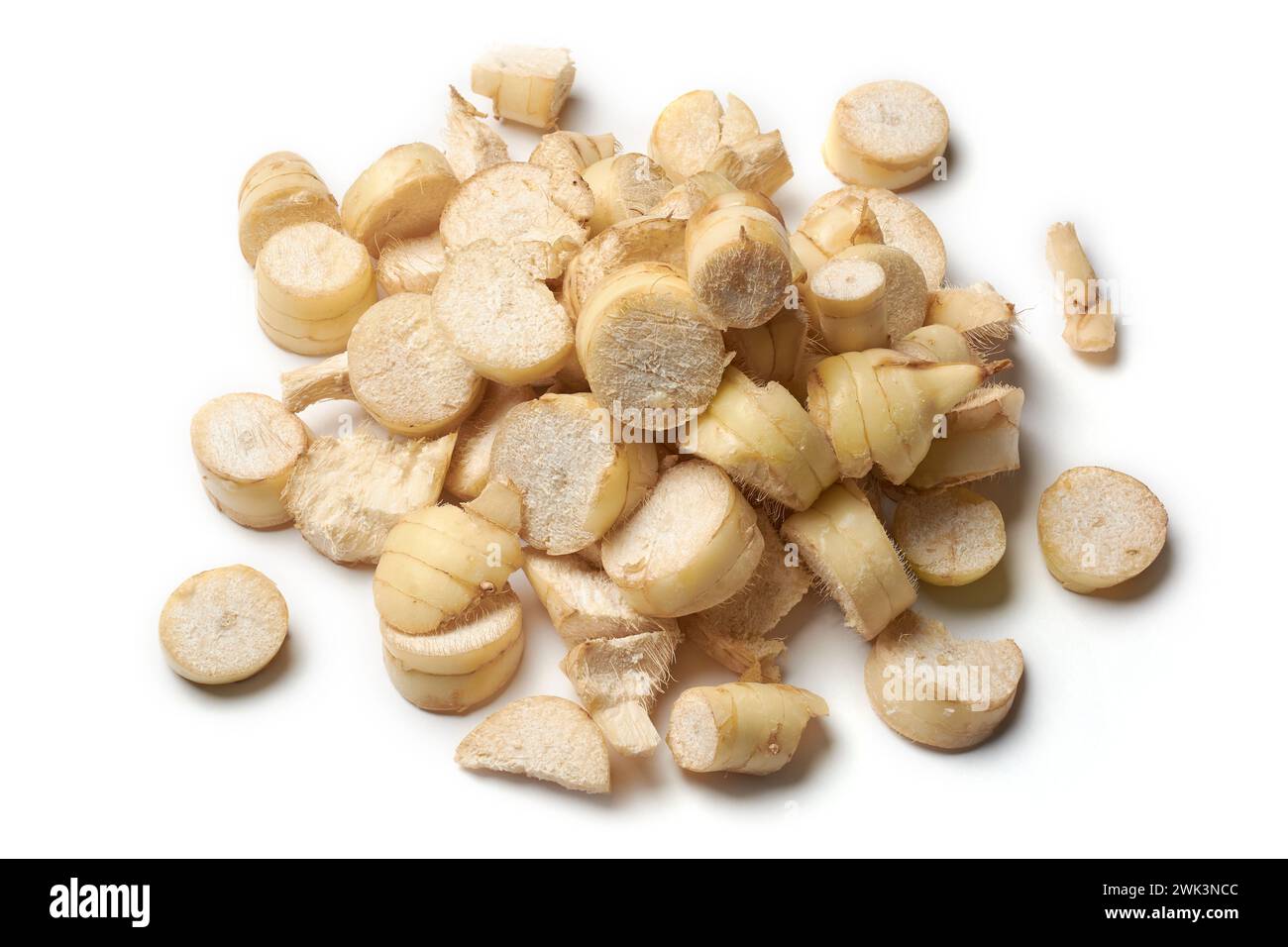 Arrow root plant Cut Out Stock Images & Pictures - Alamy