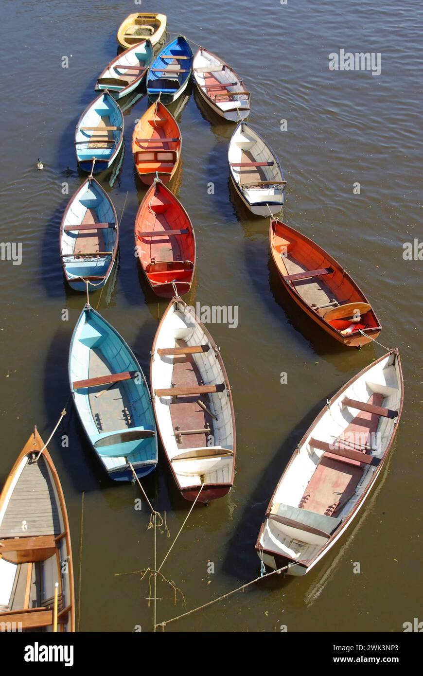 Rowing boats roped & clustered together in aerial view forming an ...
