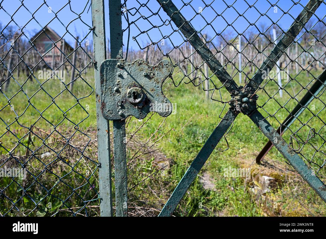 Dilapidated entrance gate at the vineyard - behind it meadow, vines and ...