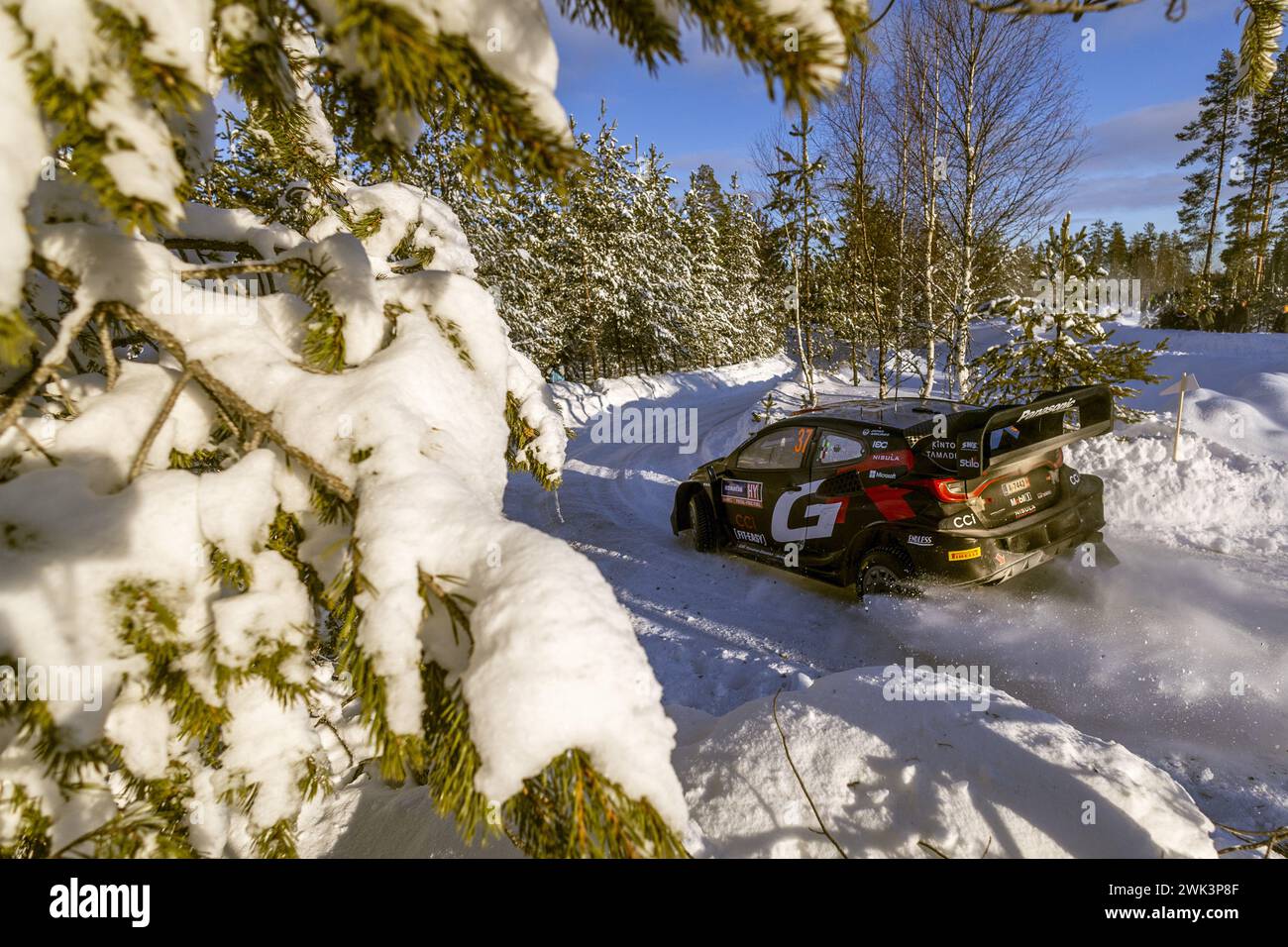 37 BERTELLI Lorenzo, SCATTOLIN Simone, Toyota GR Yaris Rally1, action ...
