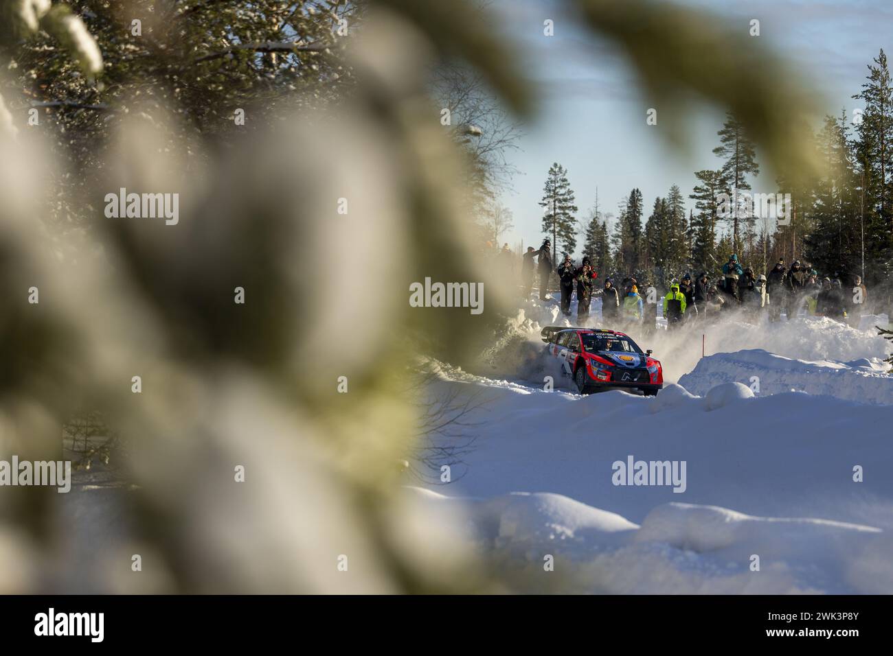 11 NEUVILLE Thierry, WYDAEGHE Martijn, Hyundai I20 Rally1, action ...