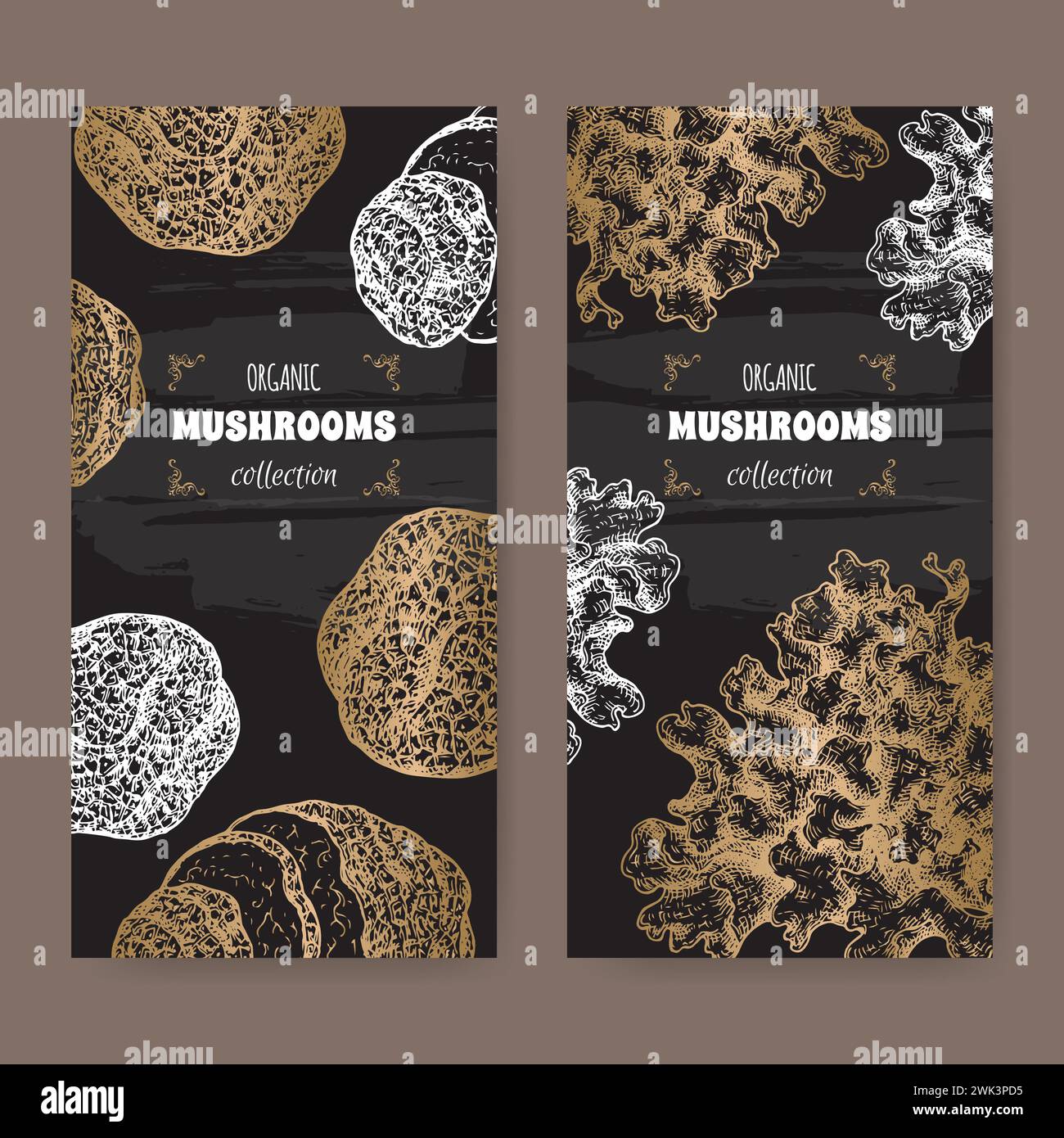 Two labels with black truffle and snow fungus sketch on black. Edible ...