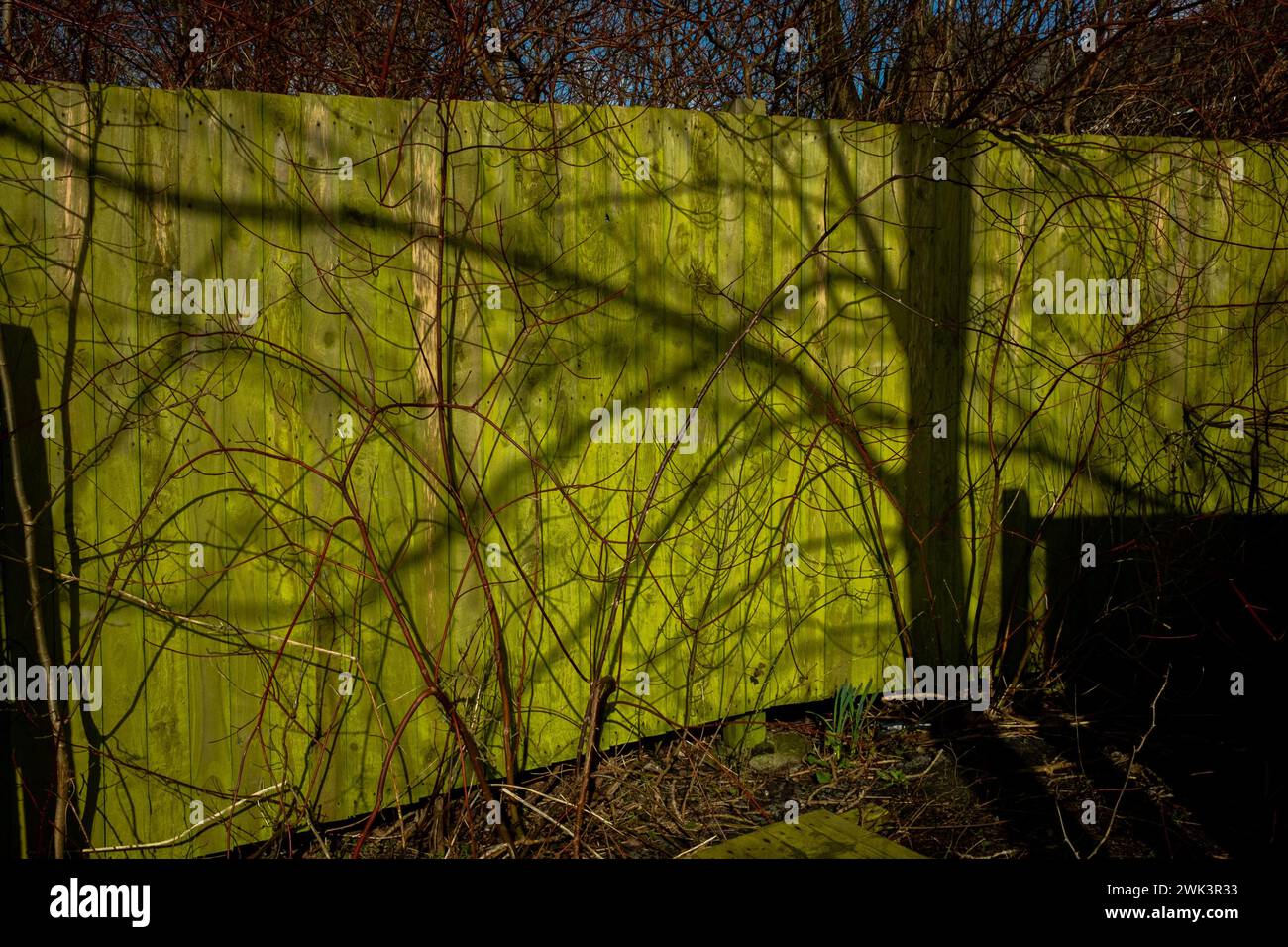 Preston guild wheel hi-res stock photography and images - Alamy