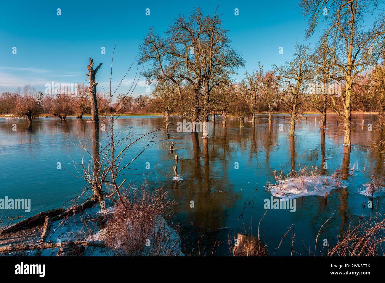 Flooded fields in winter in Germany Stock Photo - Alamy