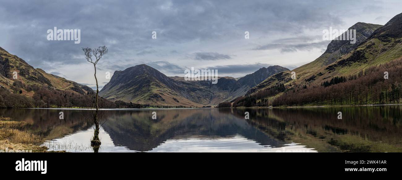 Buttermere lake lone tree hi-res stock photography and images - Alamy