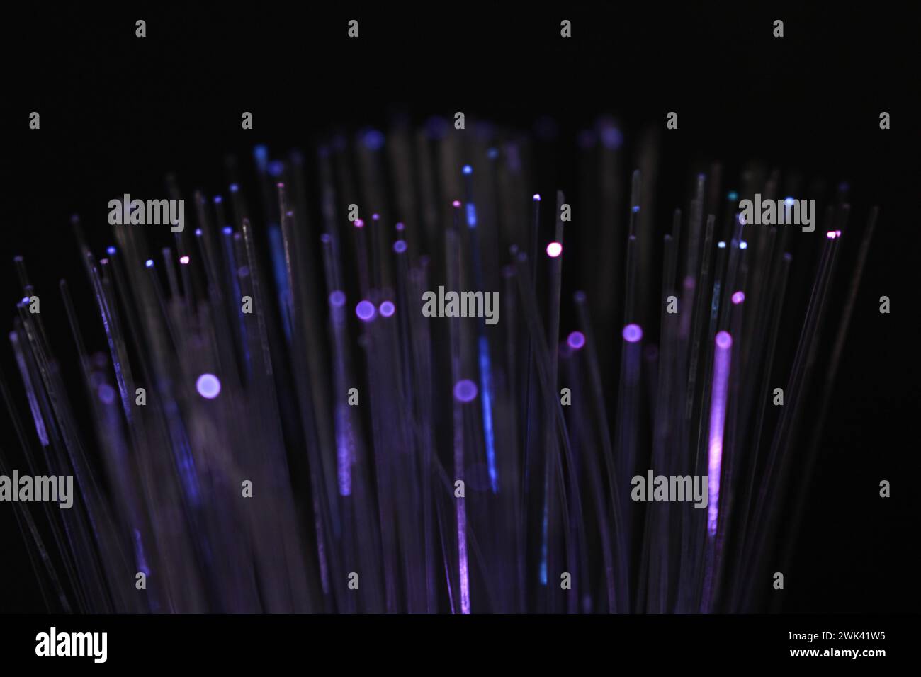 A close up photograph of purple fibre optic cables against a black ...