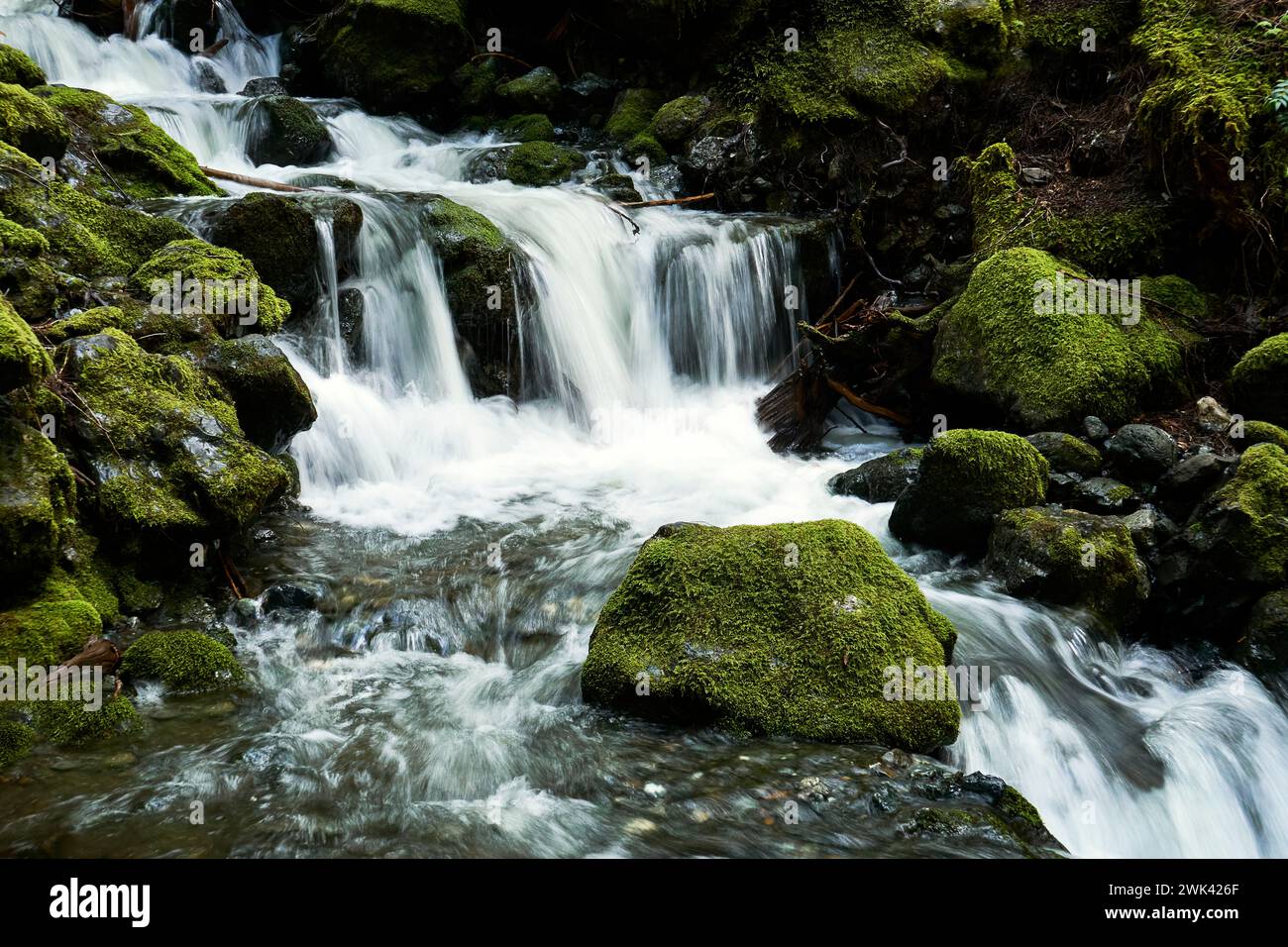 Cascading rushing waterfall down mossy hi-res stock photography and ...