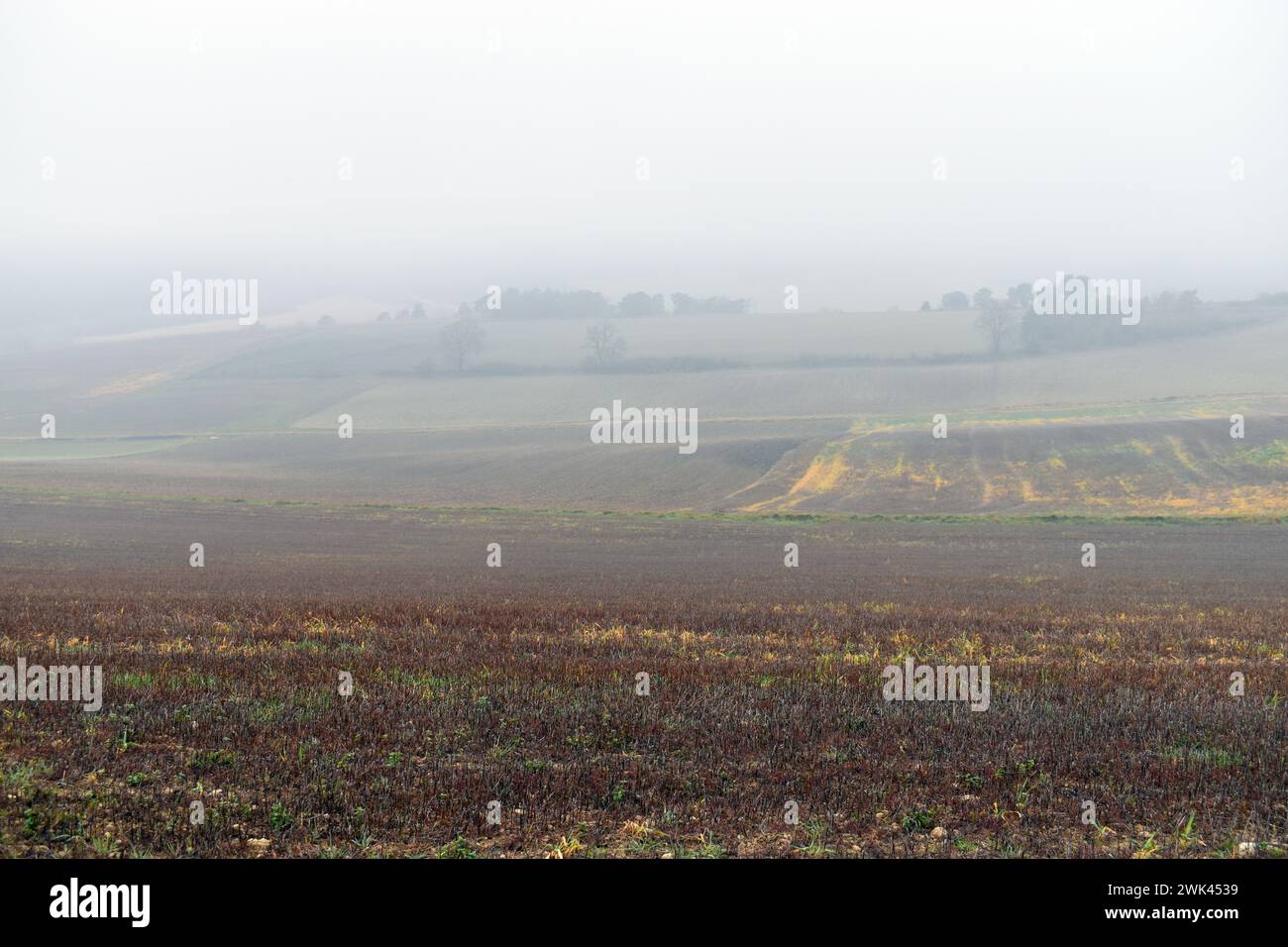 Landscape of a sown field in winter with fog Stock Photo - Alamy