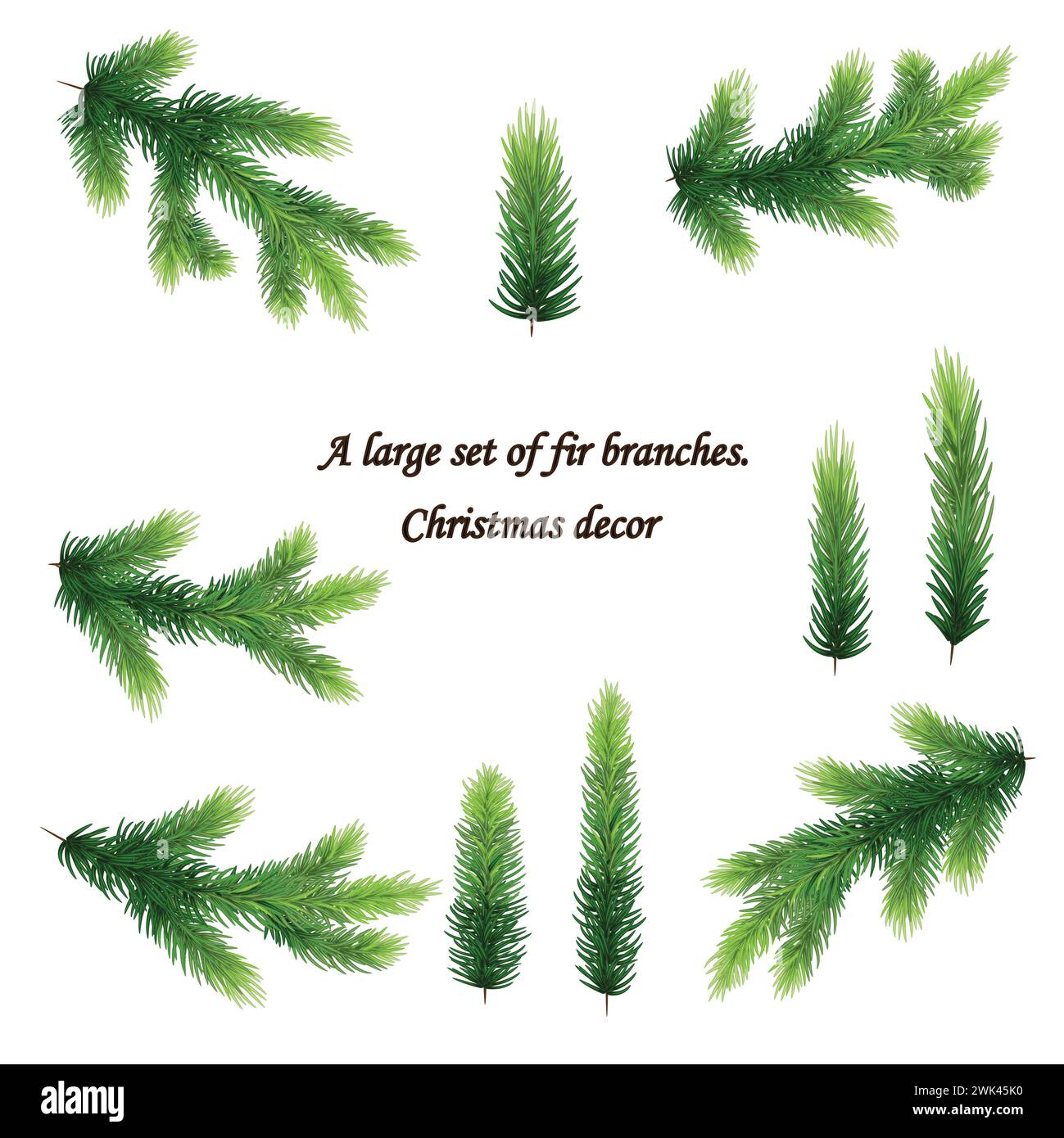 Hand drawn winter forest Cut Out Stock Images & Pictures - Alamy