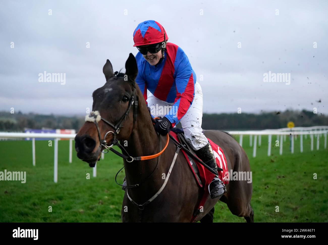 The goffer racecourse hi-res stock photography and images - Alamy