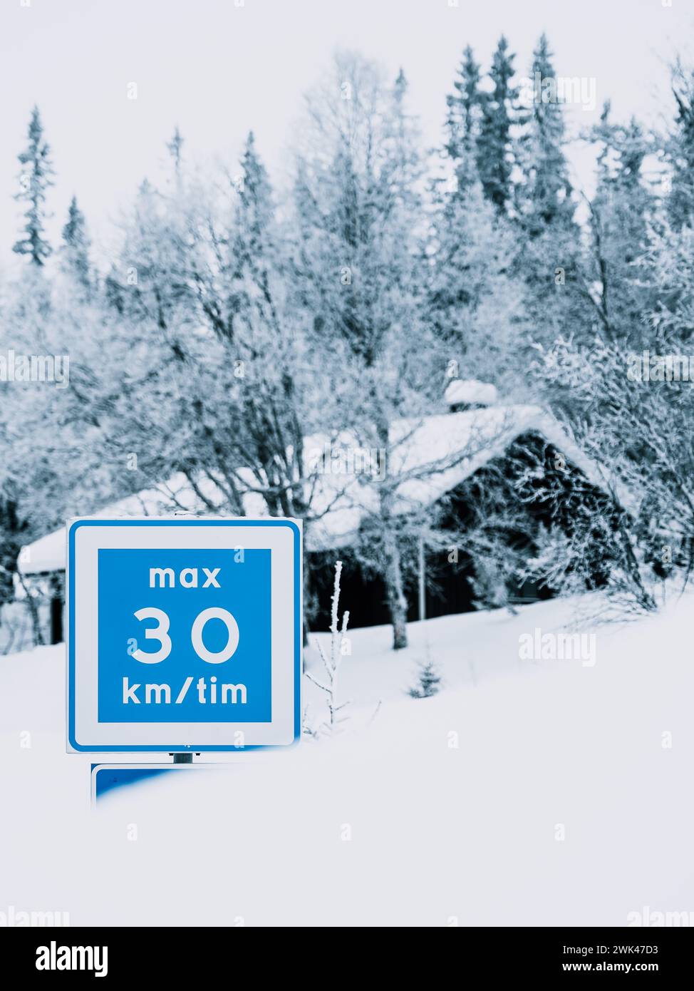 This image captures a tranquil winter scene where a blue speed limit ...