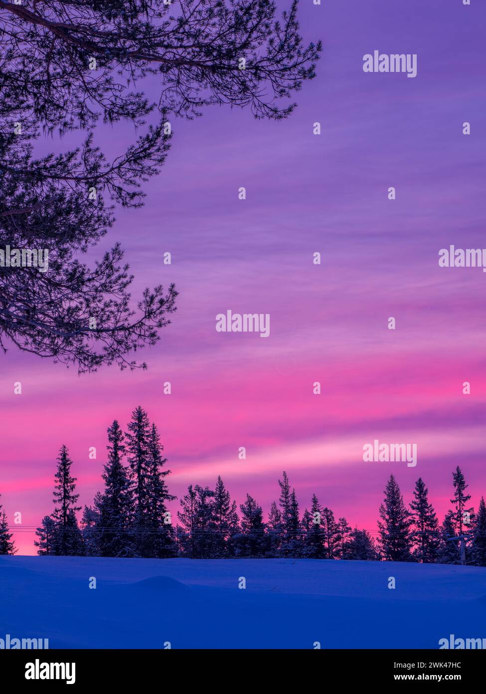 This image captures a breathtaking winter scene of a snow-laden forest ...
