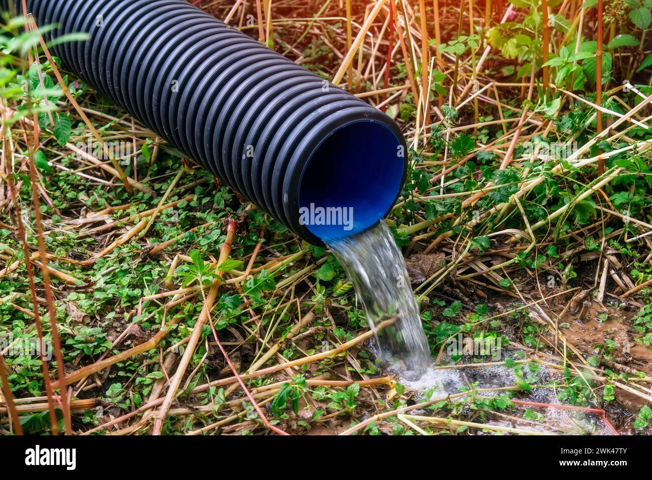 Level view close-up at a land drain pipe with slow flow Stock Photo - Alamy