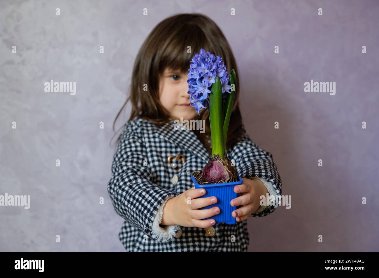 Little Girl holding hyacinth in flower pot. A beautiful little girl ...