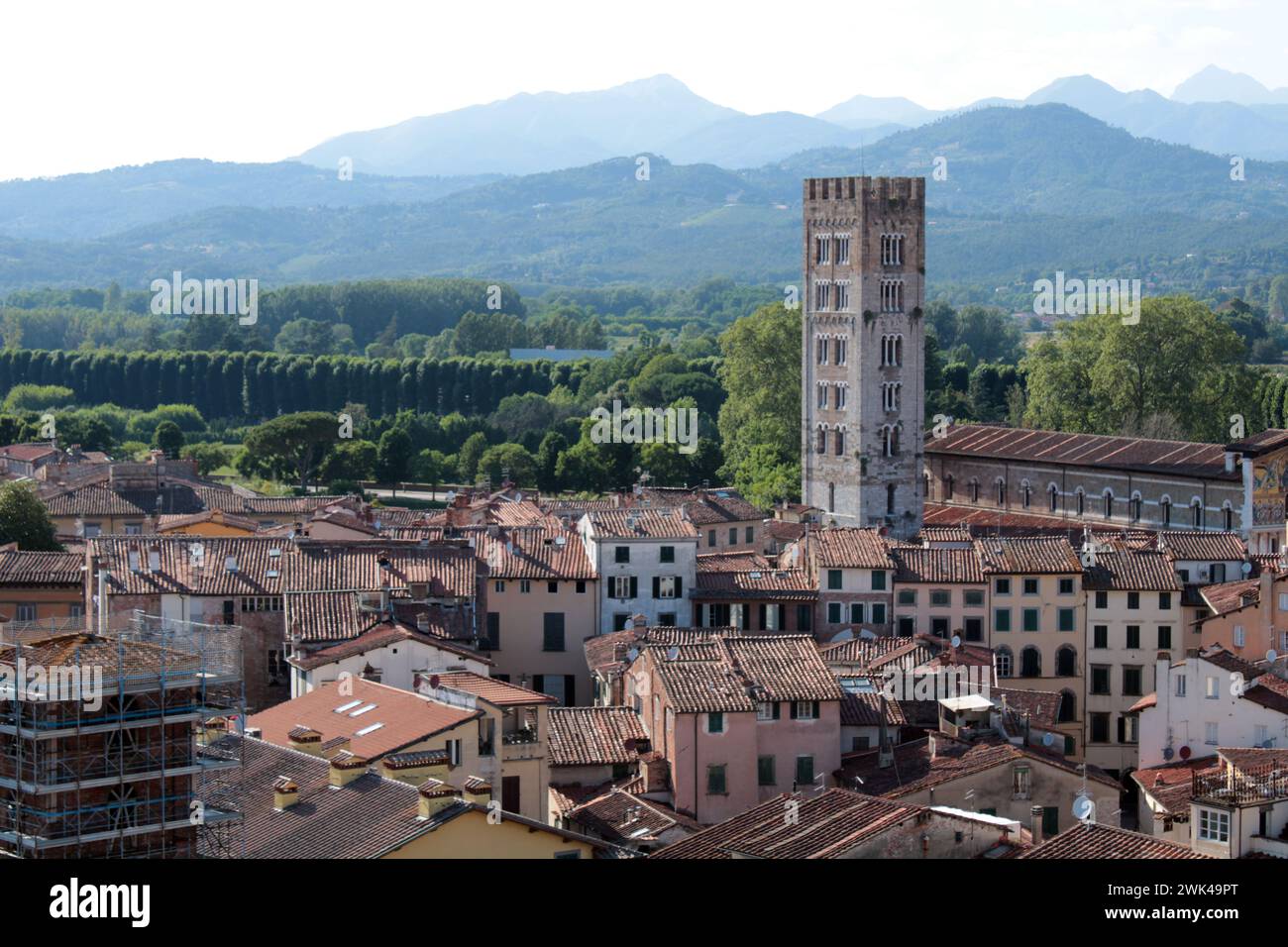 Another tower from Tower Guinigi, Lucca Stock Photo - Alamy