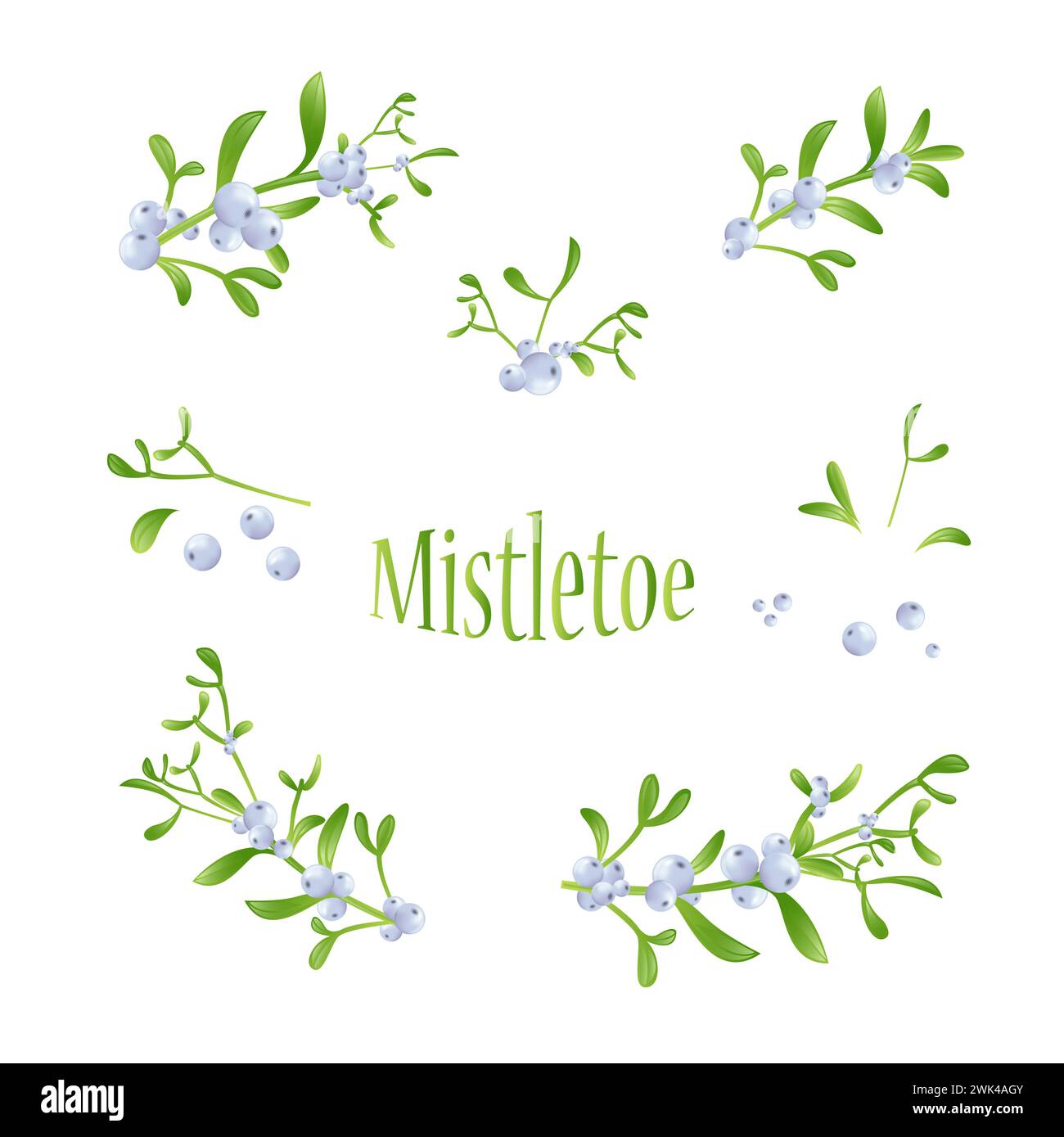 Seamless frame christmas holly Cut Out Stock Images & Pictures - Alamy