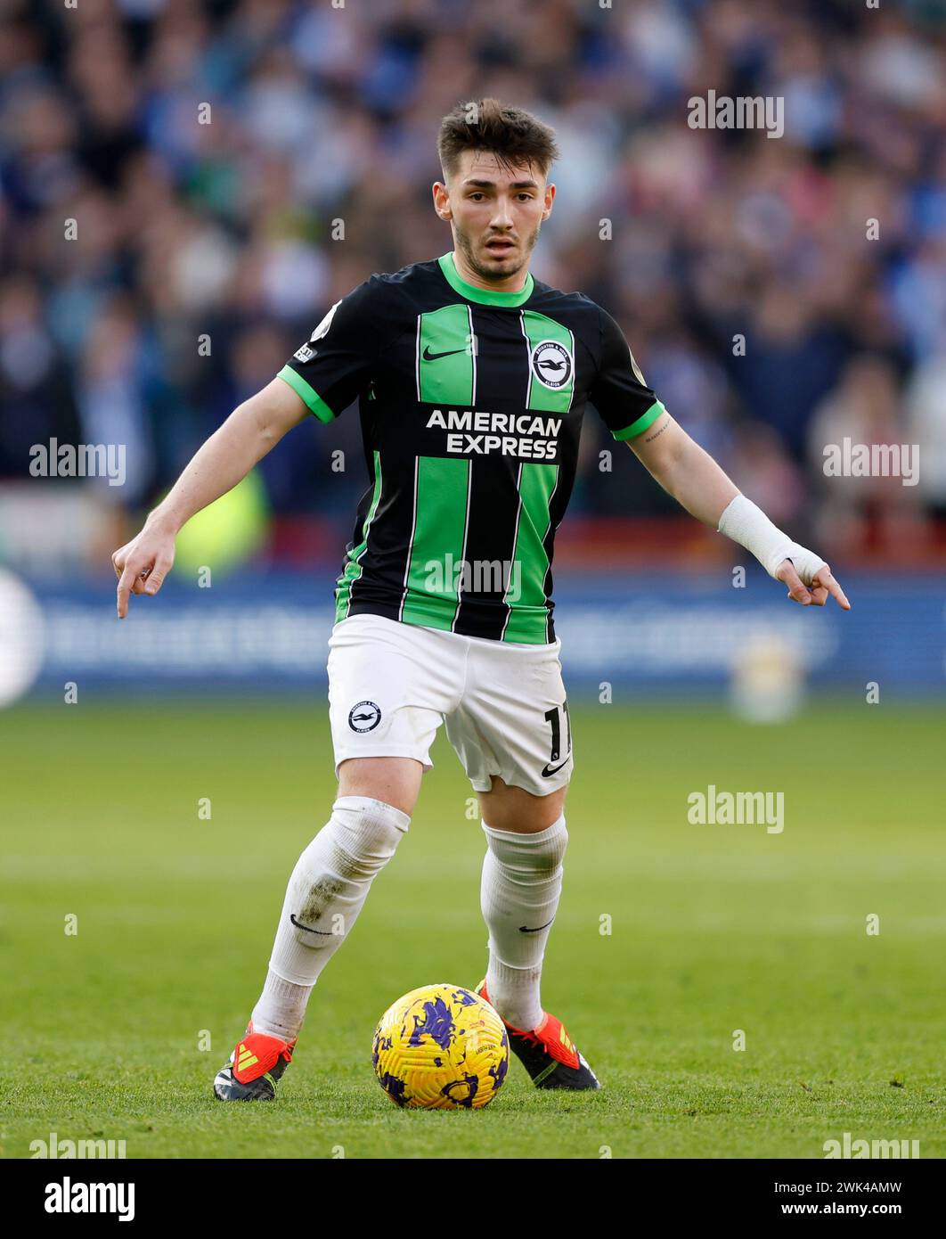 Brighton and Hove Albion's Billy Gilmour during the Premier League ...