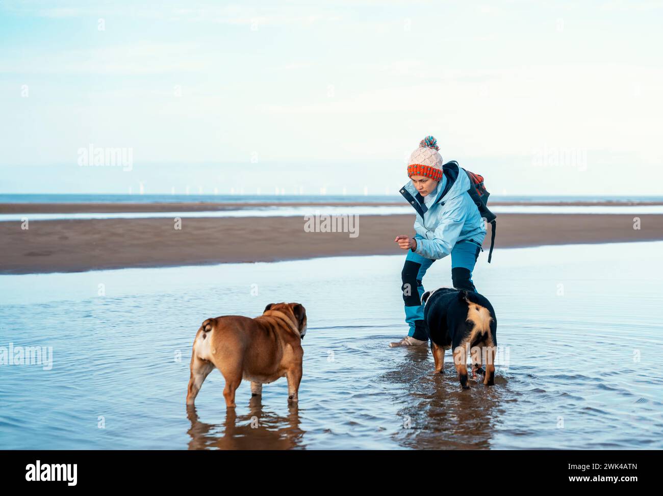 Happy woman touristwith her dogs hiking and exploring new places Stock ...