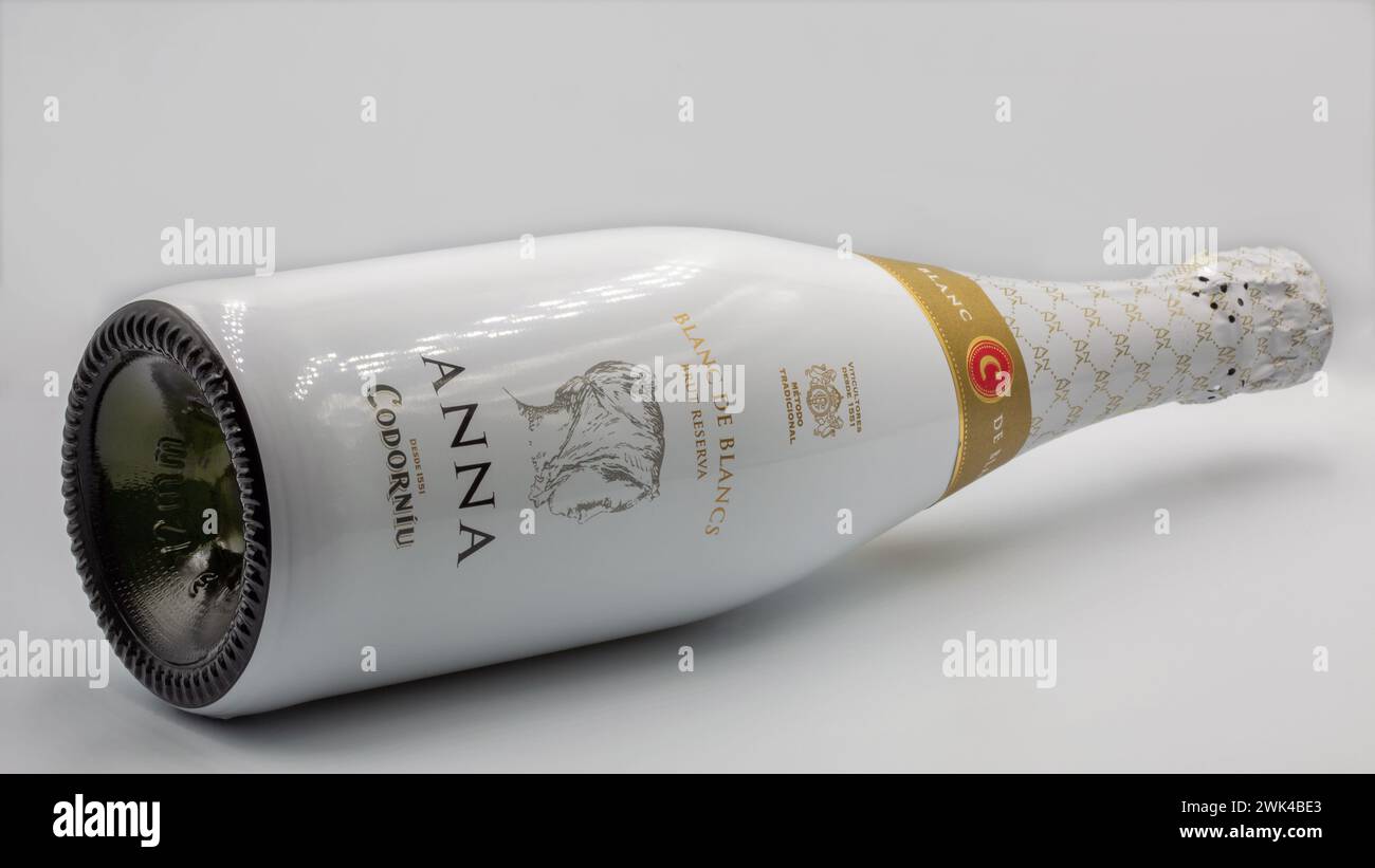 Kyiv, Ukraine - September 03, 2022: Studio shoot of Codorniu Anna Blanc ...