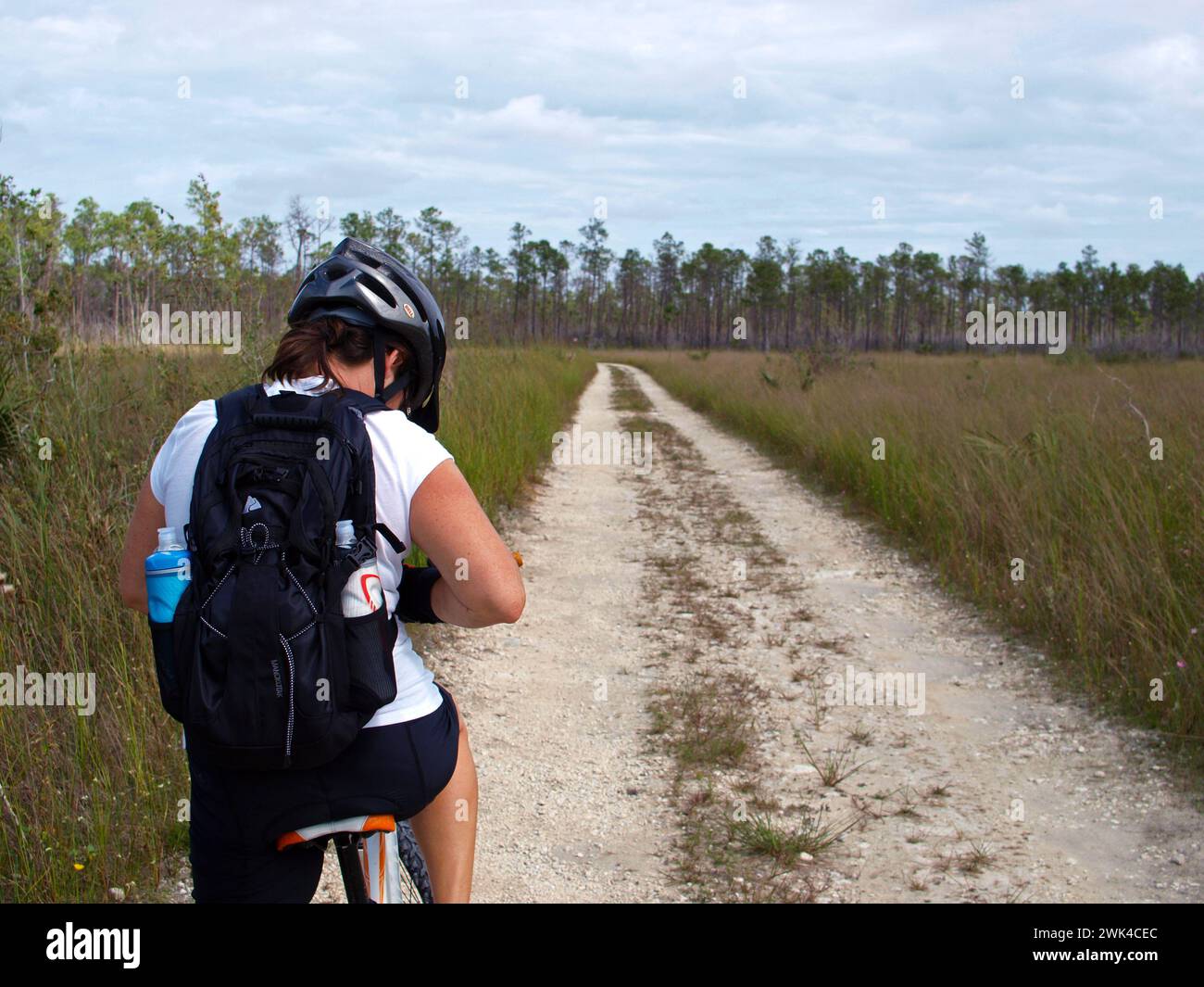 Long pine key nature trail hi-res stock photography and images - Alamy