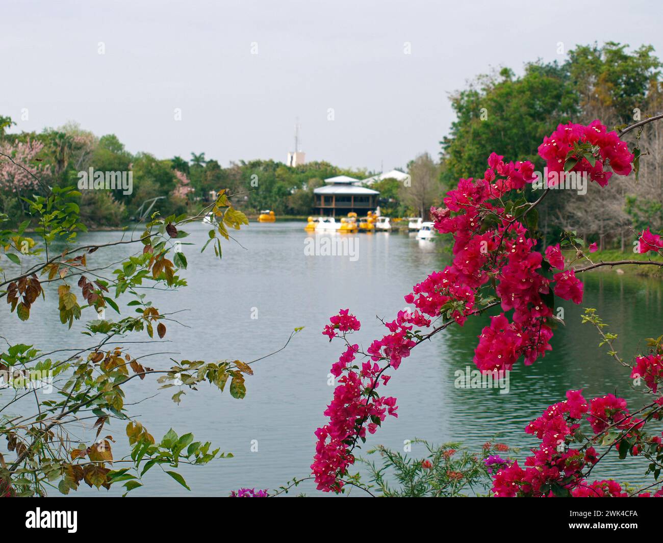 Miami zoo hi-res stock photography and images - Alamy