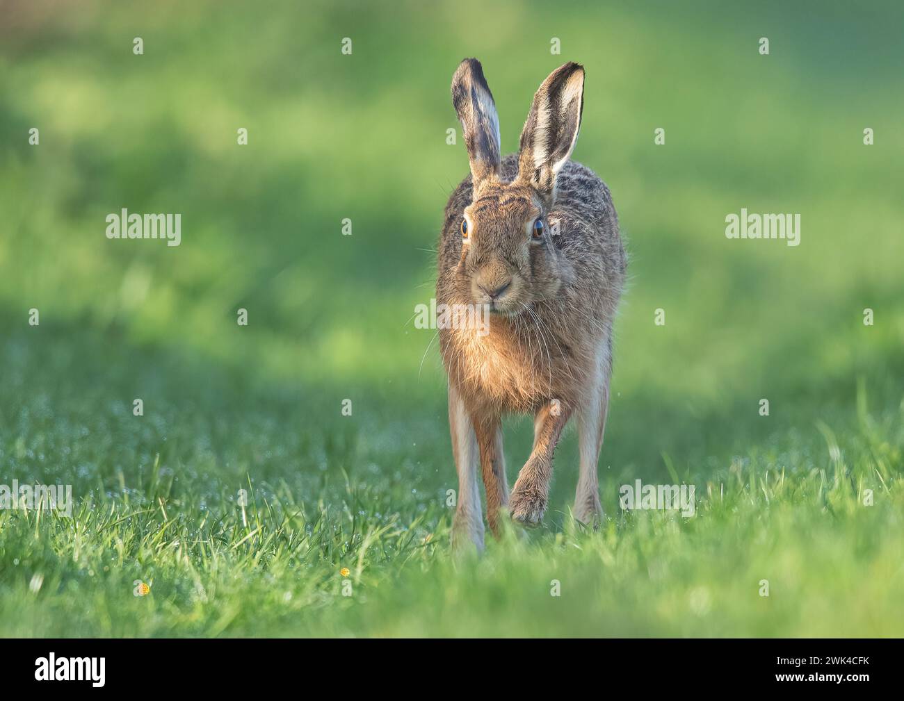 Calendar shot hi-res stock photography and images - Alamy