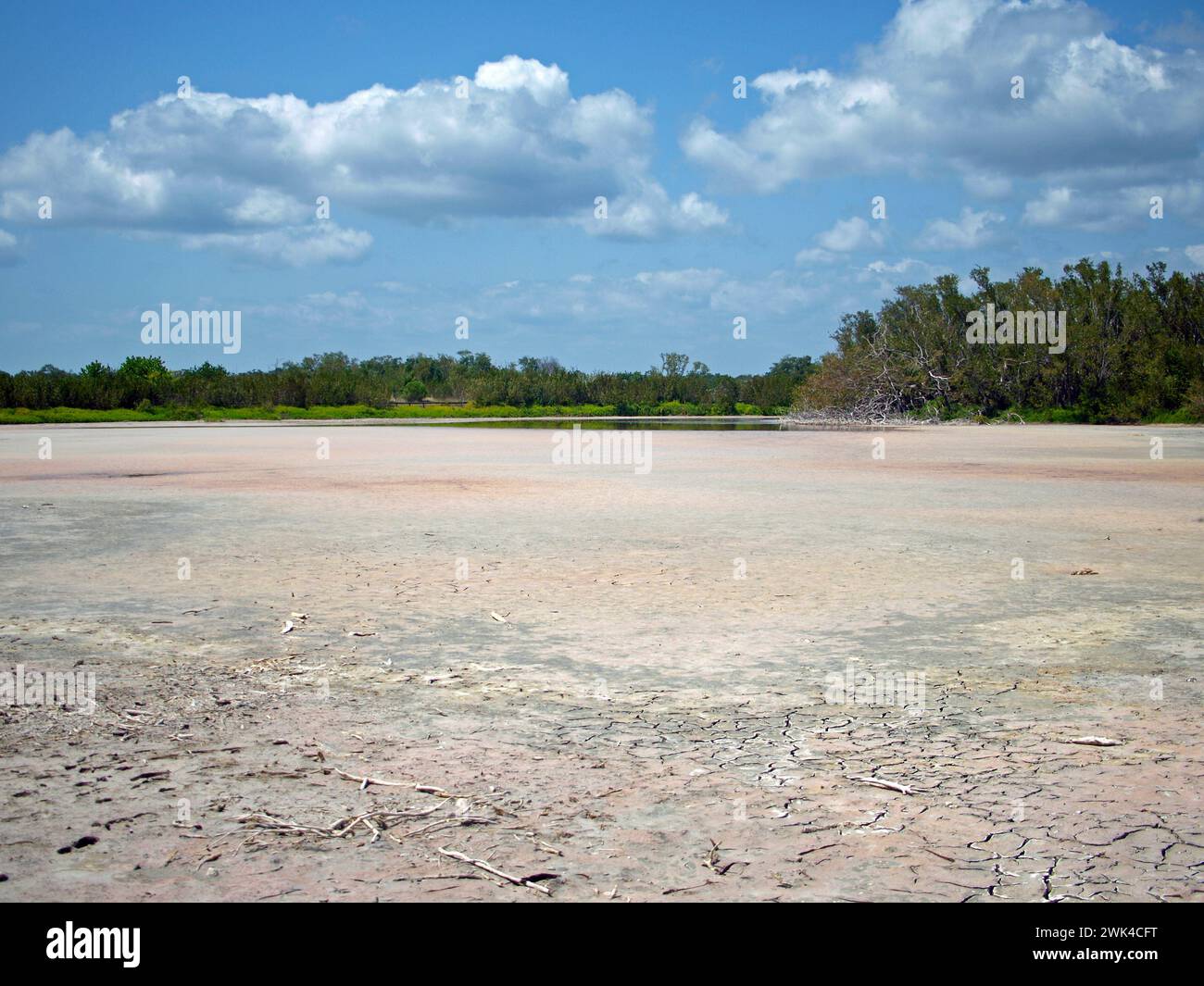 Everglades rehabilitation hi-res stock photography and images - Alamy