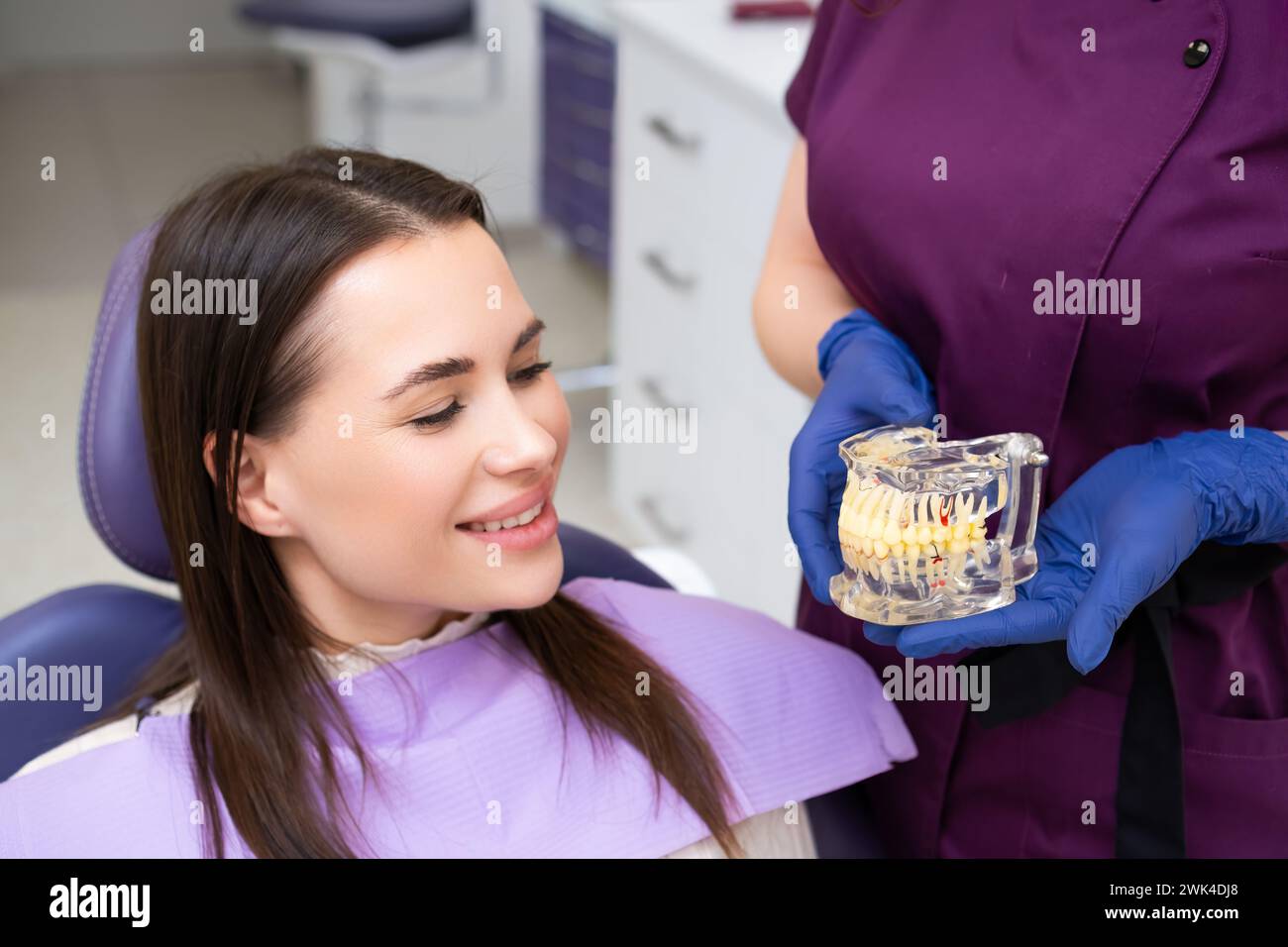 Orthodontist explains the procedure of alignment of teeth to the patient using a jaw layout in ...