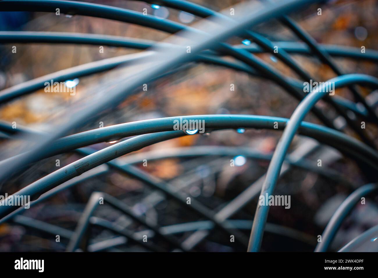 Beautiful water drop sparkle on a blade of grass photo. Big droplet of ...