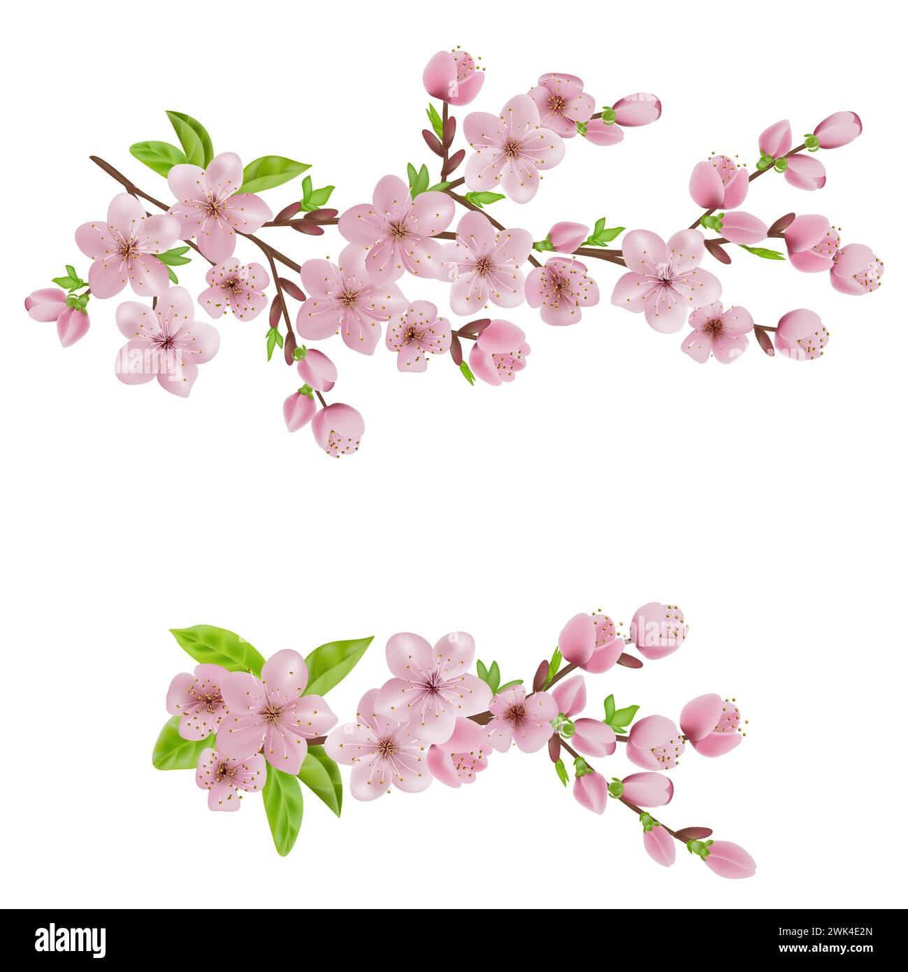 Realistic branches with pink flowers. spring flowers blossoming set ...
