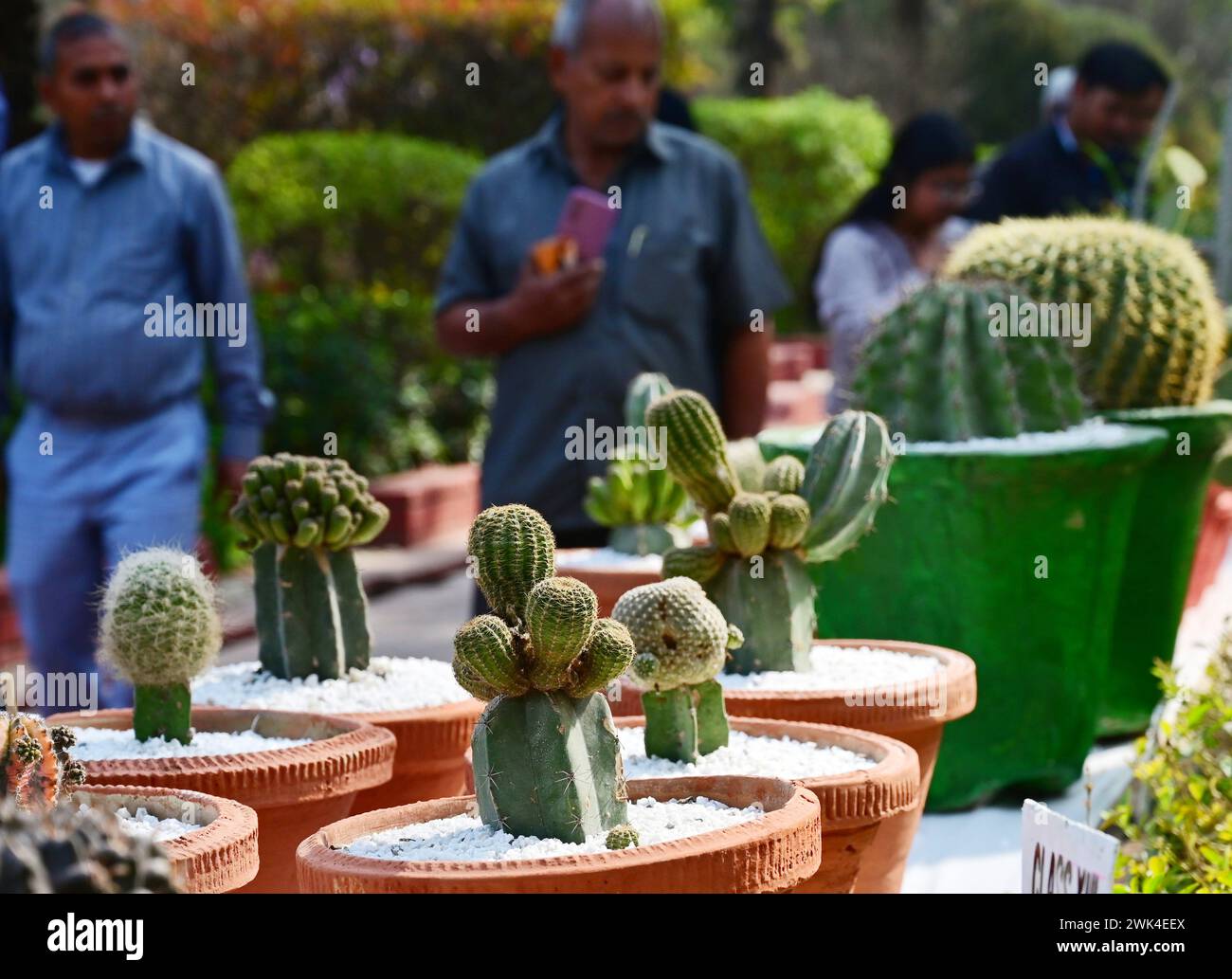 NEW DELHI, INDIA -FEBRUARY 18: Visitors take selfies and photos with ...