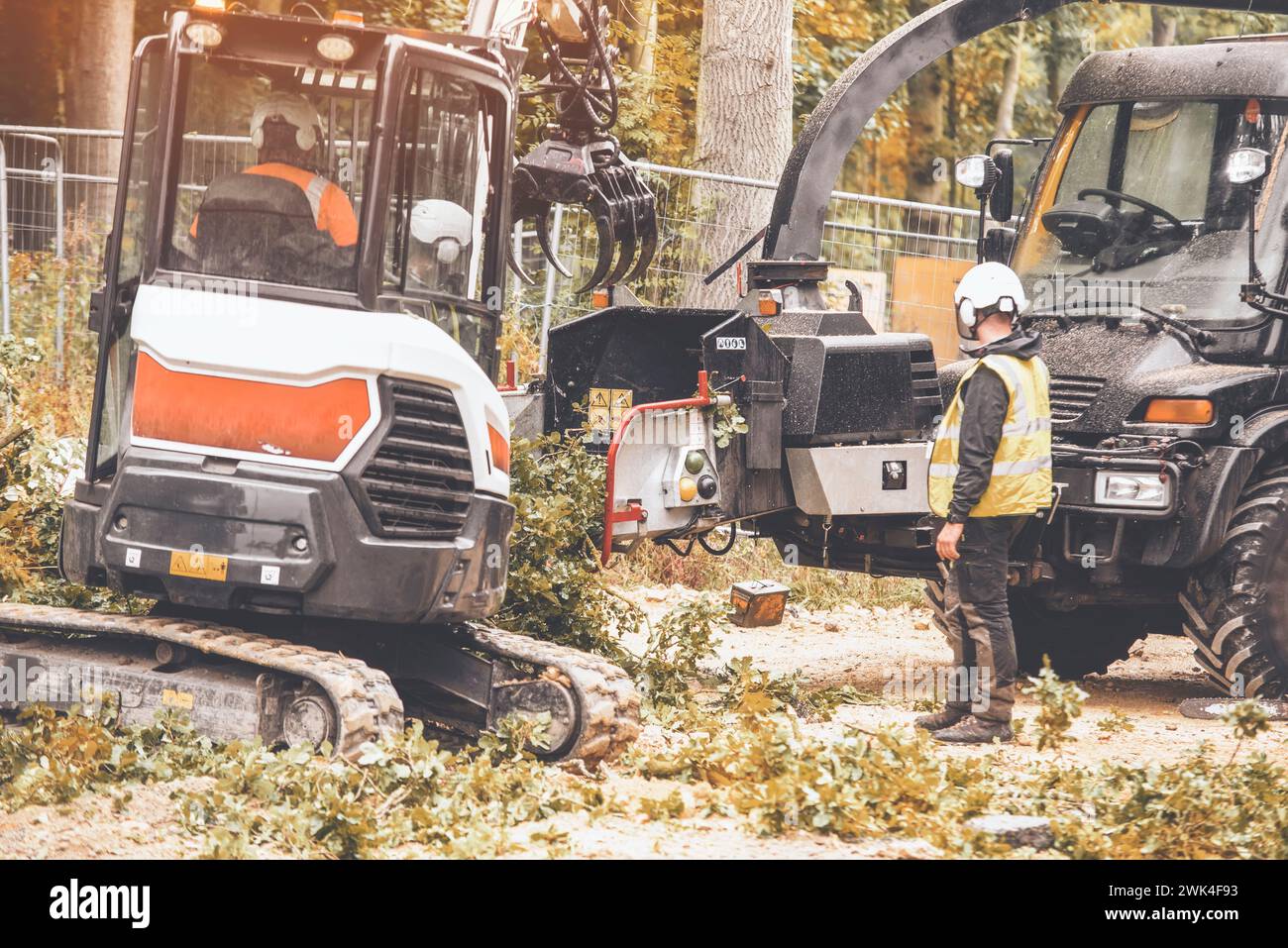 Arborist using a wood chipper machine for shredding trees and branches ...