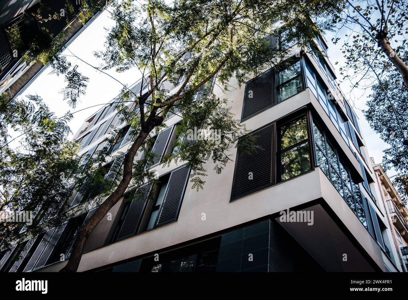 Modern apartment building with big windows, Barcelona. Green tree ...