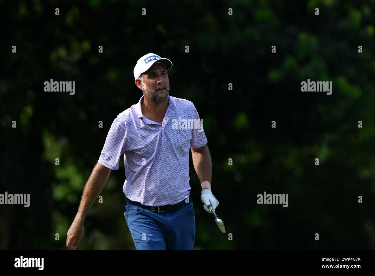 Steve lewton hi-res stock photography and images - Alamy