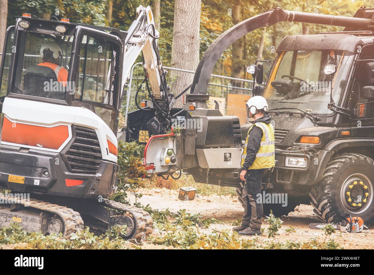 Arborist using a wood chipper machine for shredding trees and branches ...