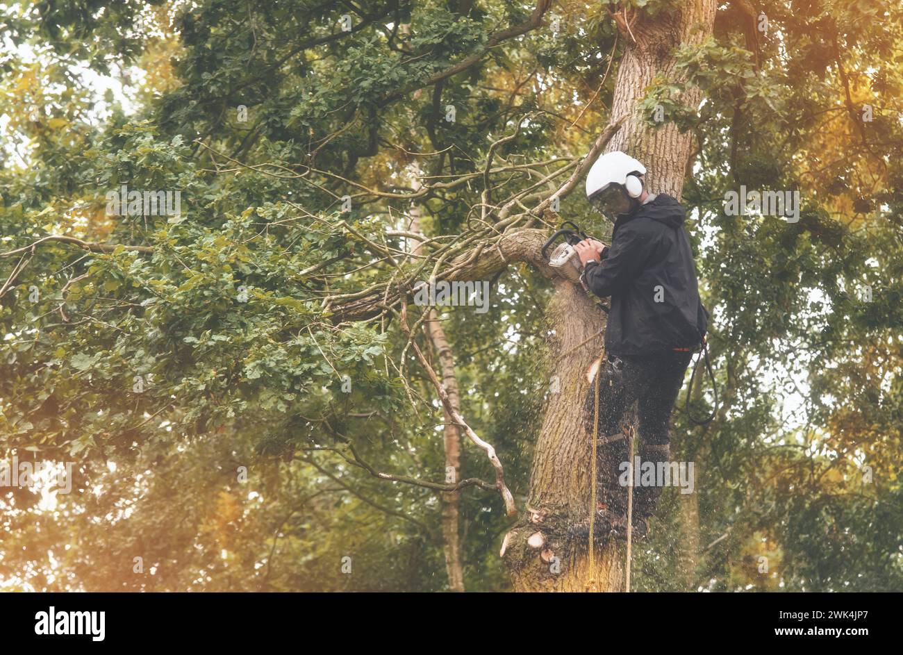 Tree surgeon rope hi-res stock photography and images - Alamy