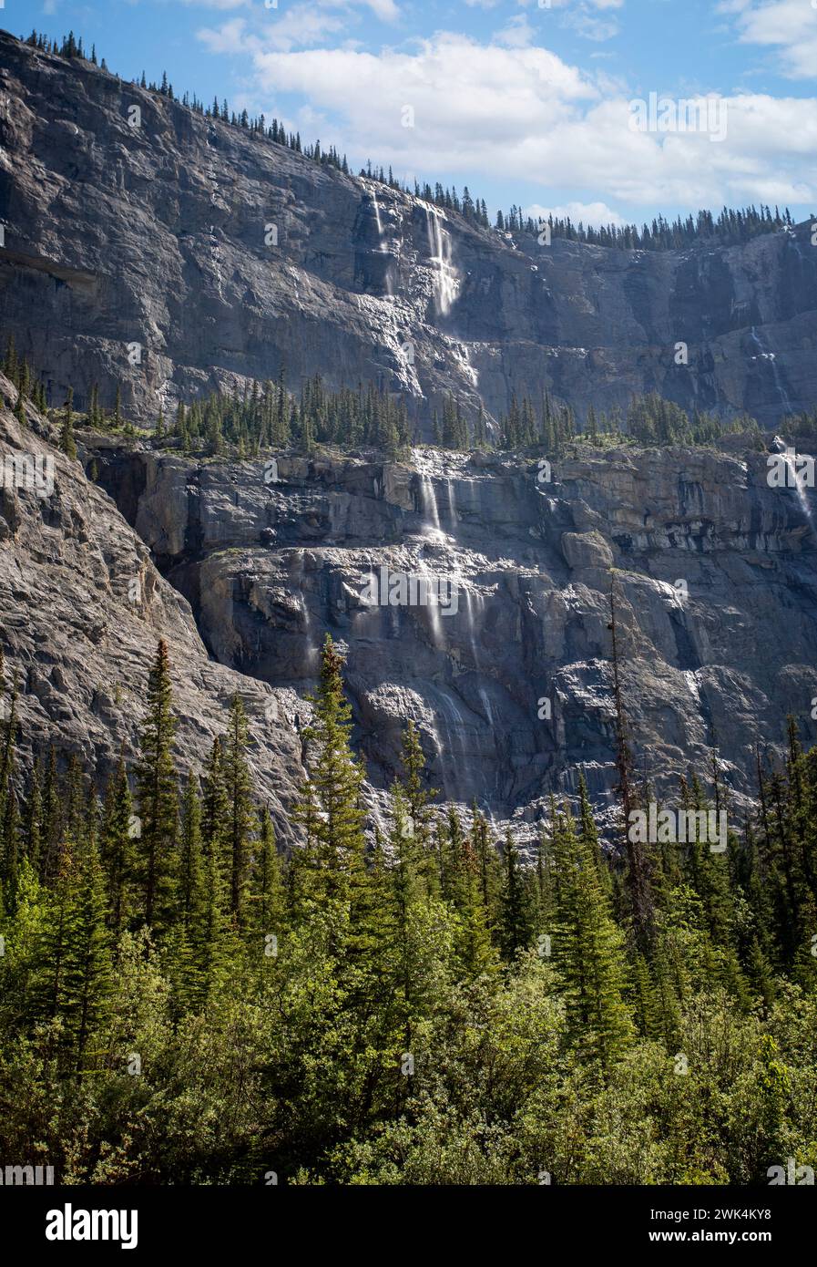 Weeping wall waterfalls off the Icefields Parkway in Banff National ...