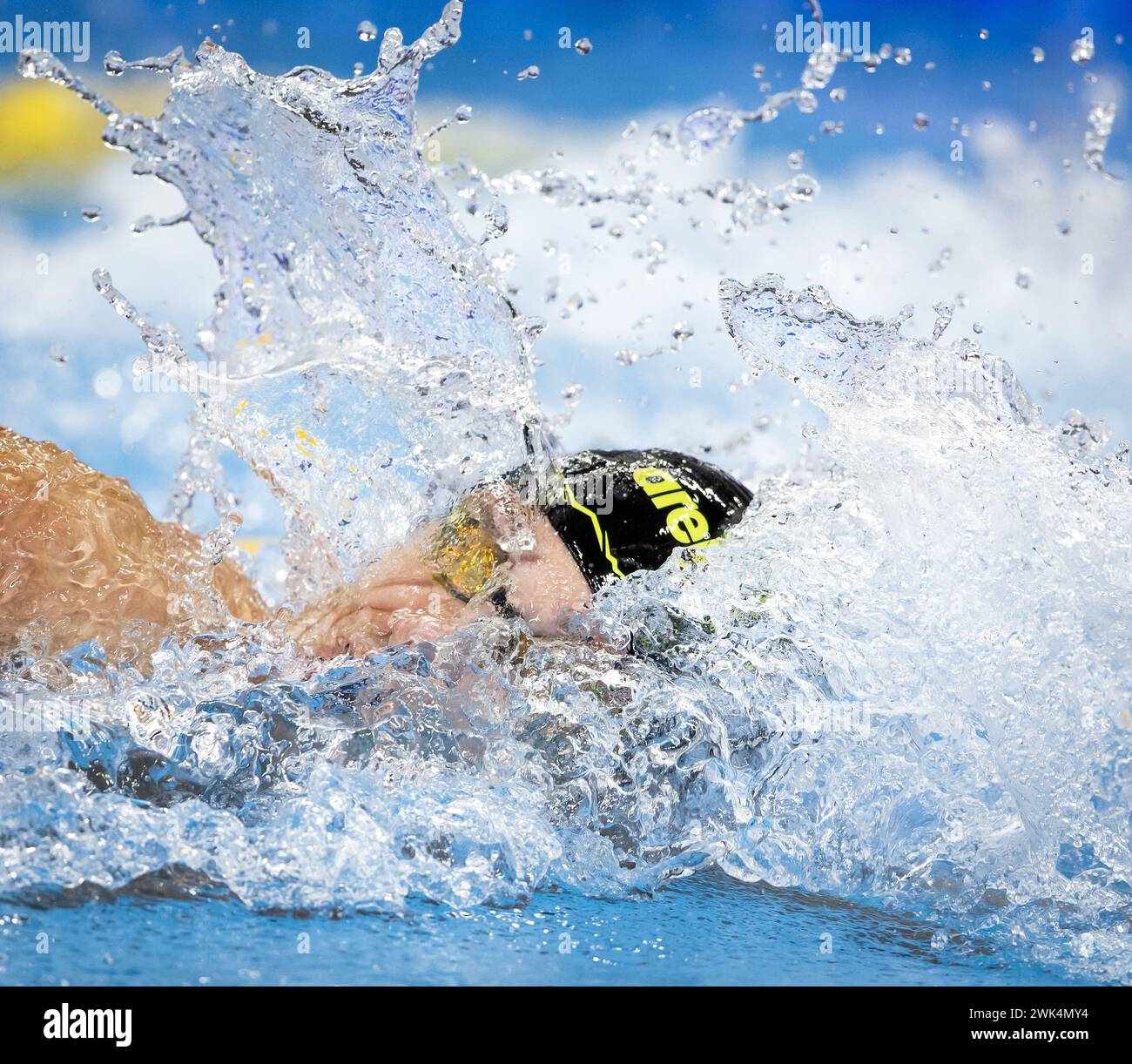 DOHA - Stan Pijnenburg in action in the men's 4 x 100 medley during the ...