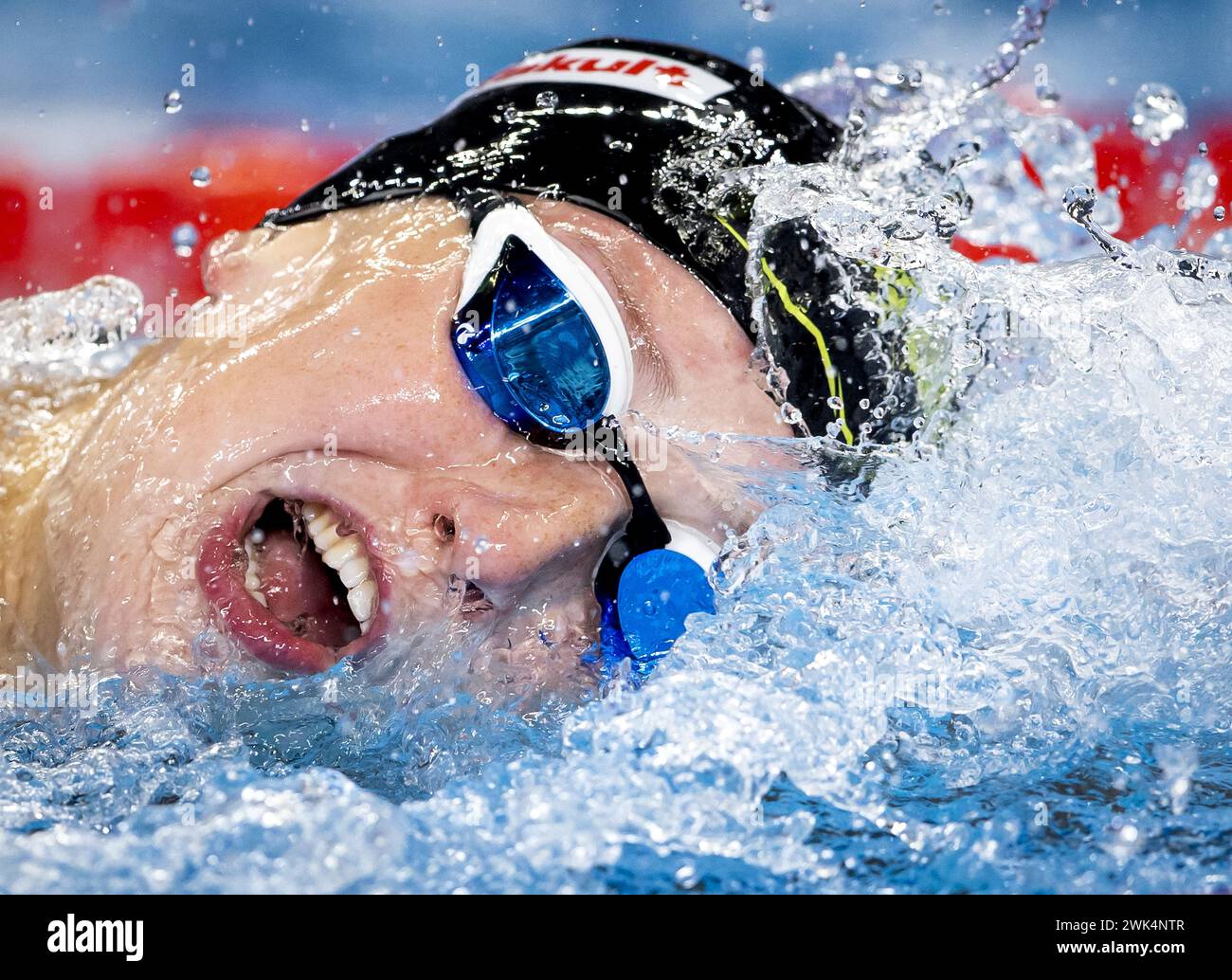 DOHA - Kim Busch in action in the women's 4 x 100 medley final during ...