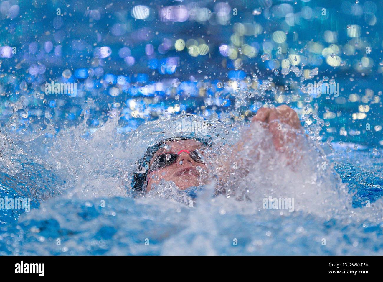 Hunter Armstrong of, USA. , . competes in men's 100 backstroke swimming ...
