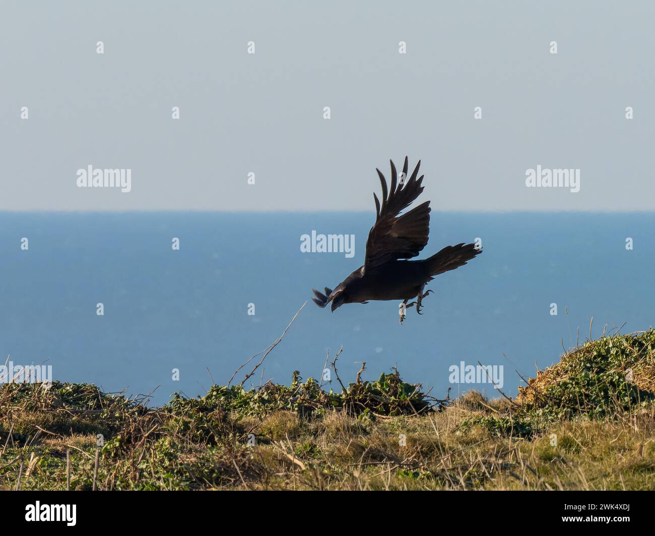Know how to fight hi-res stock photography and images - Alamy