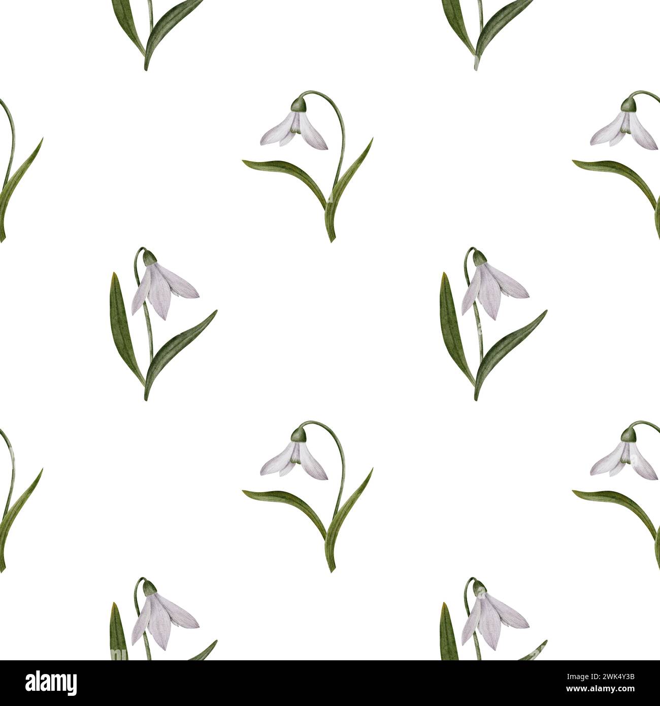 Seamless pattern with Snowdrop watercolor hand drawn bouquet, flower ...