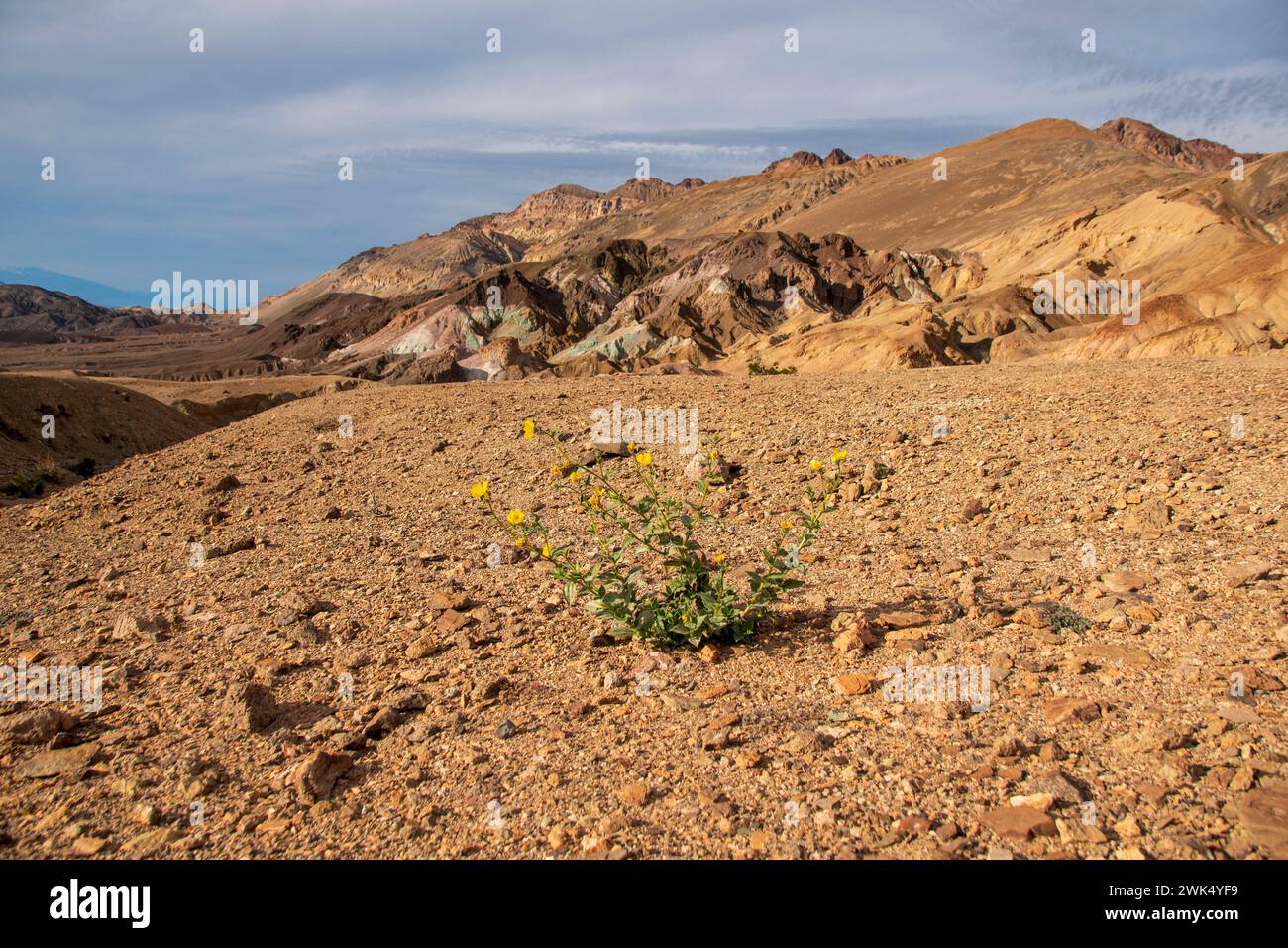 Artist Road is a colorful drive in Death Valley that features ...