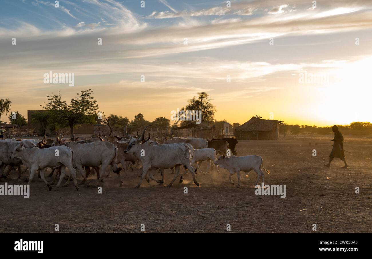 Africa, Senegal, near Podor. Village of Fenaye Dualo by The River ...