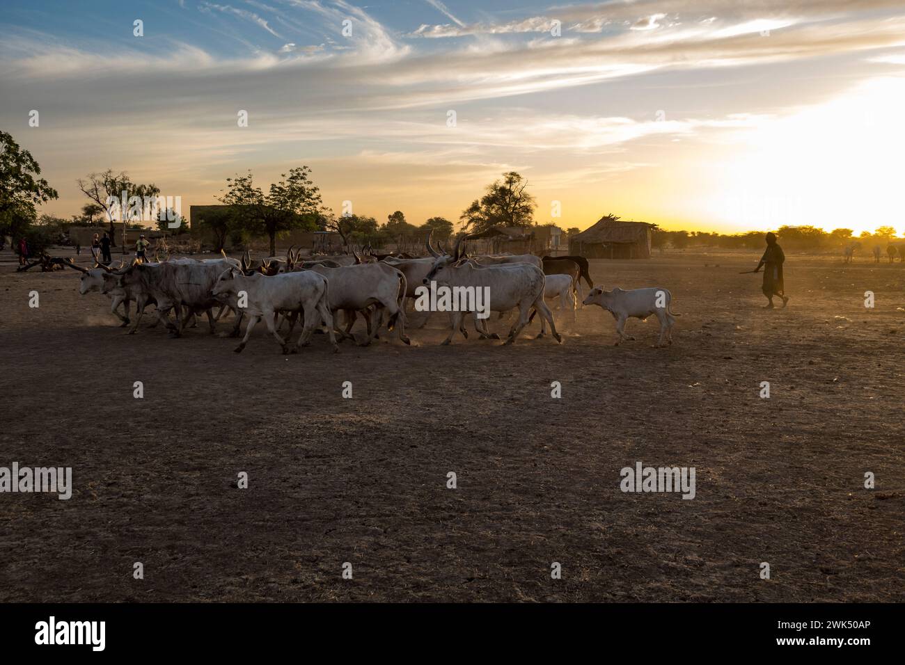 Rural village in senegal hi-res stock photography and images - Alamy