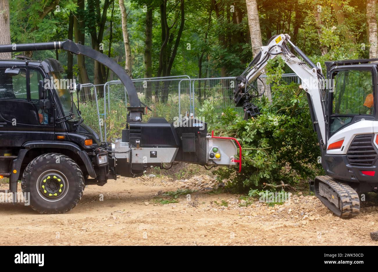 Tree surgeon silhouette hi-res stock photography and images - Alamy