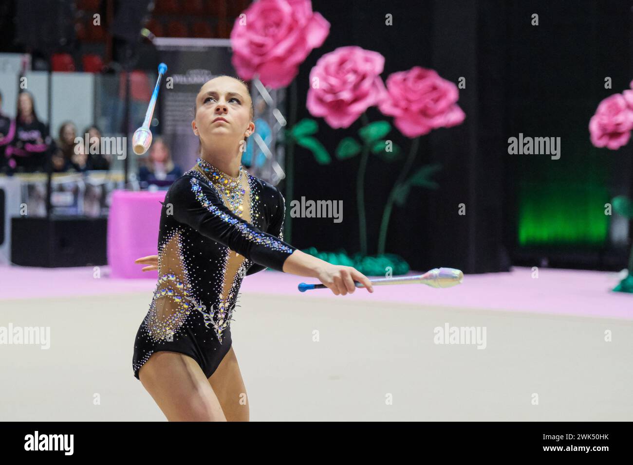 Erica paolini hi-res stock photography and images - Alamy