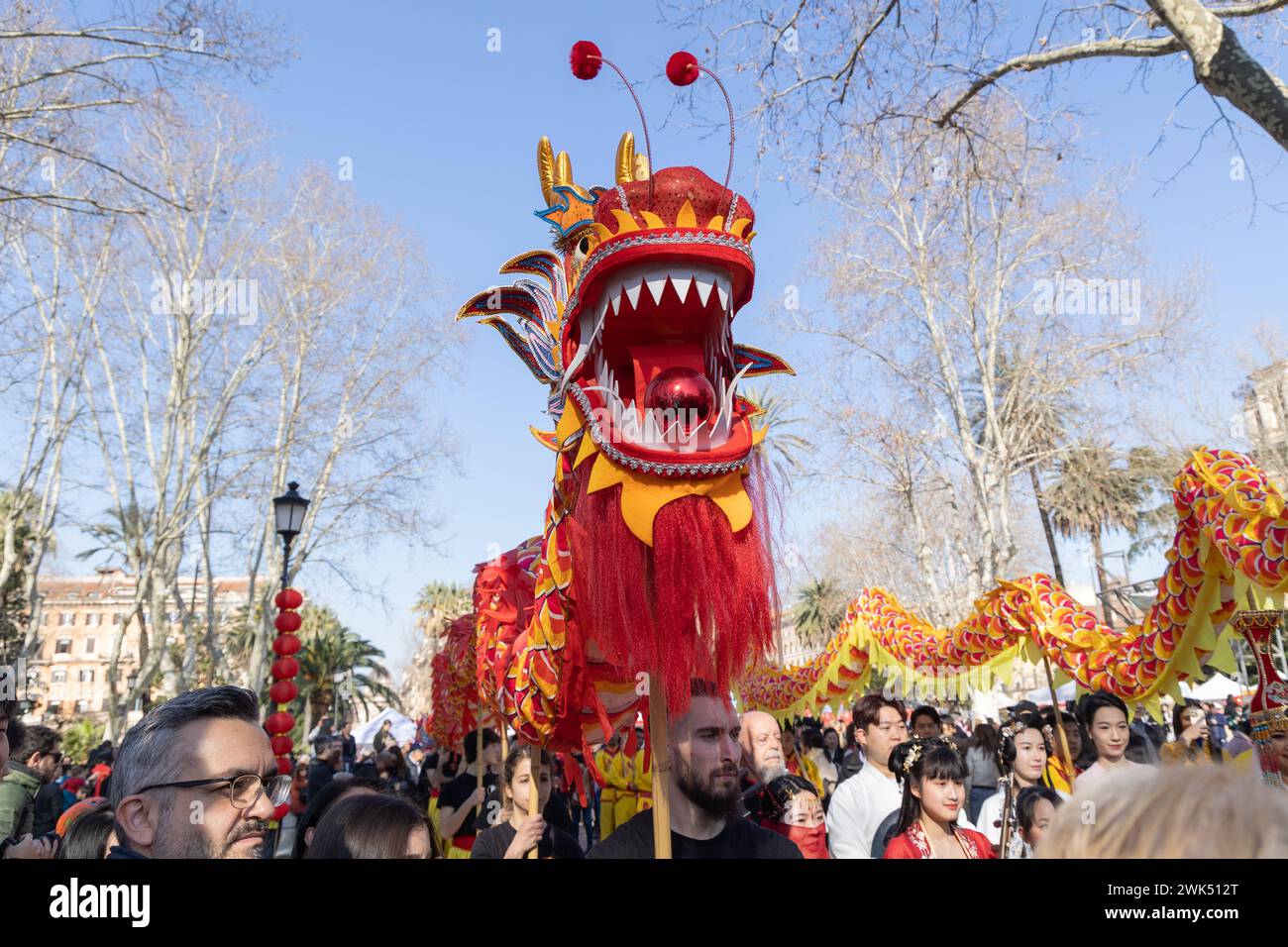 Rome, Italy. 18th Feb, 2024. Parade of dragons and lion dances in ...