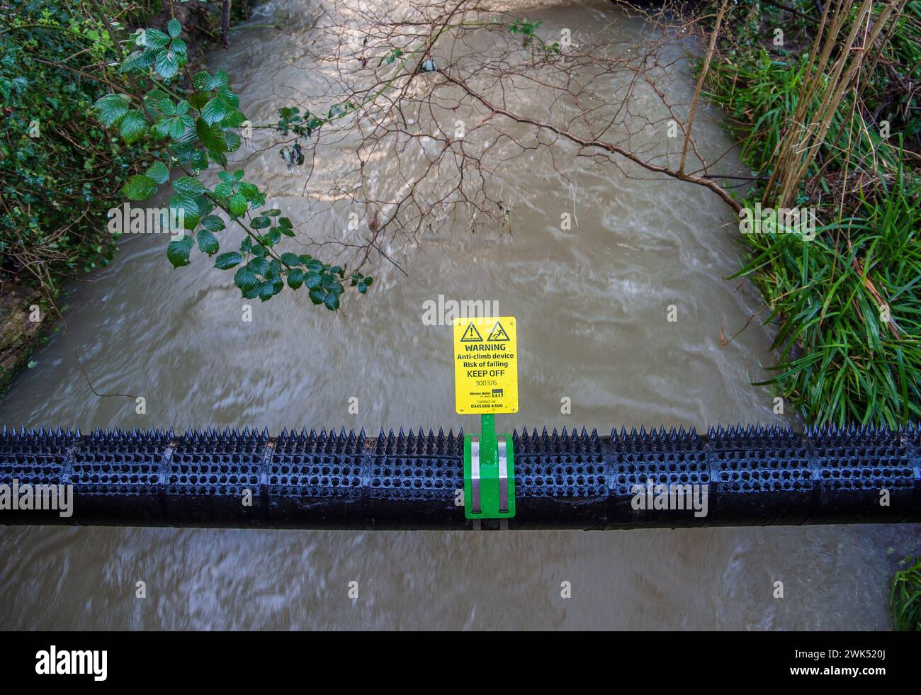 Pipe over stream with anti climbing spikes strapped on with yellow ...